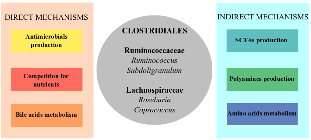 Antibiotics | Special Issue : Clostridium difficile Infection