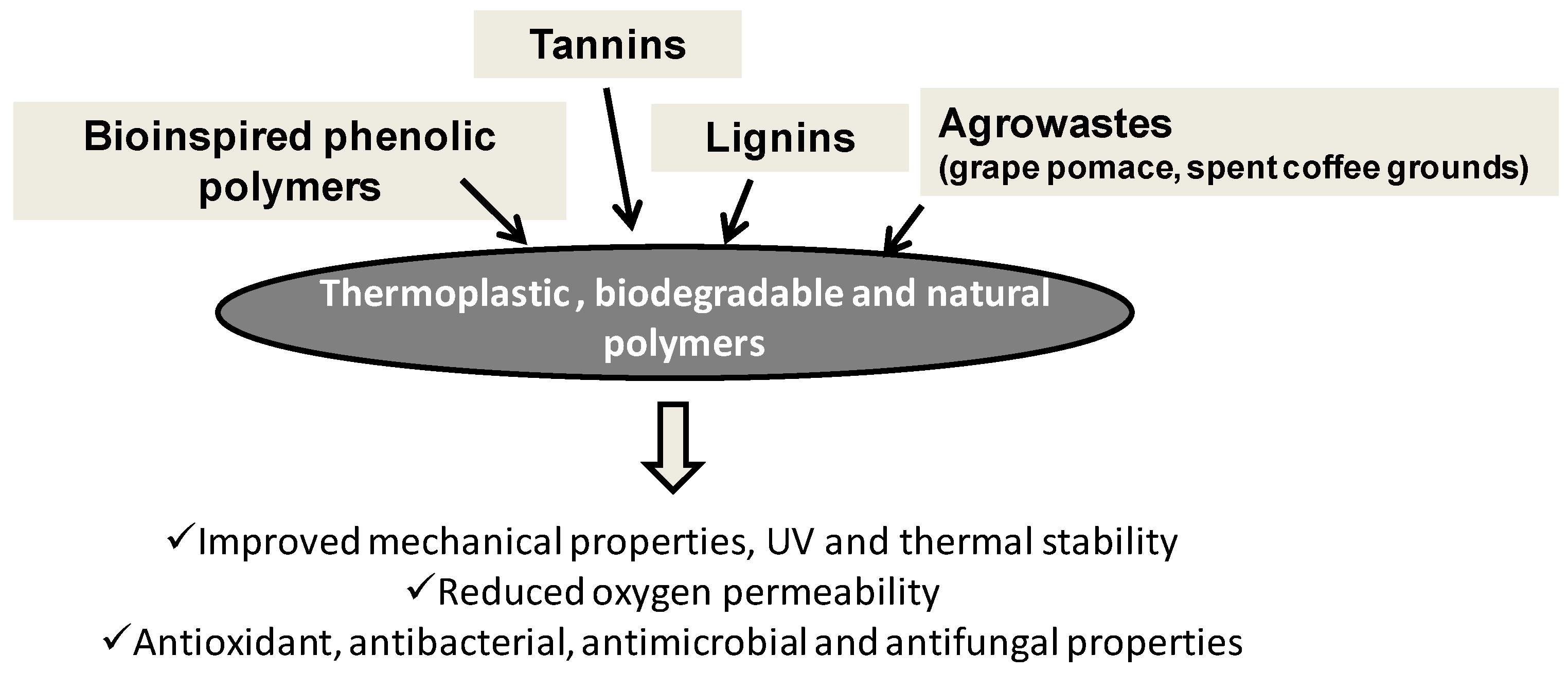 Antioxidants Free Full Text Natural Phenol Polymers Recent