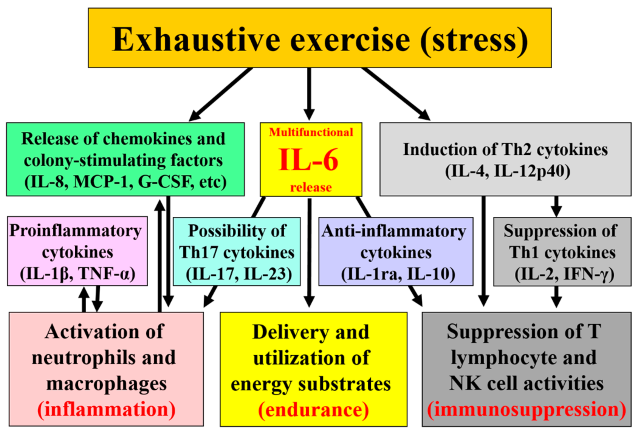 Antioxidants | Special Issue : Exercise and Inflammation Antioxidants | Special Issue : Exercise and Inflammation