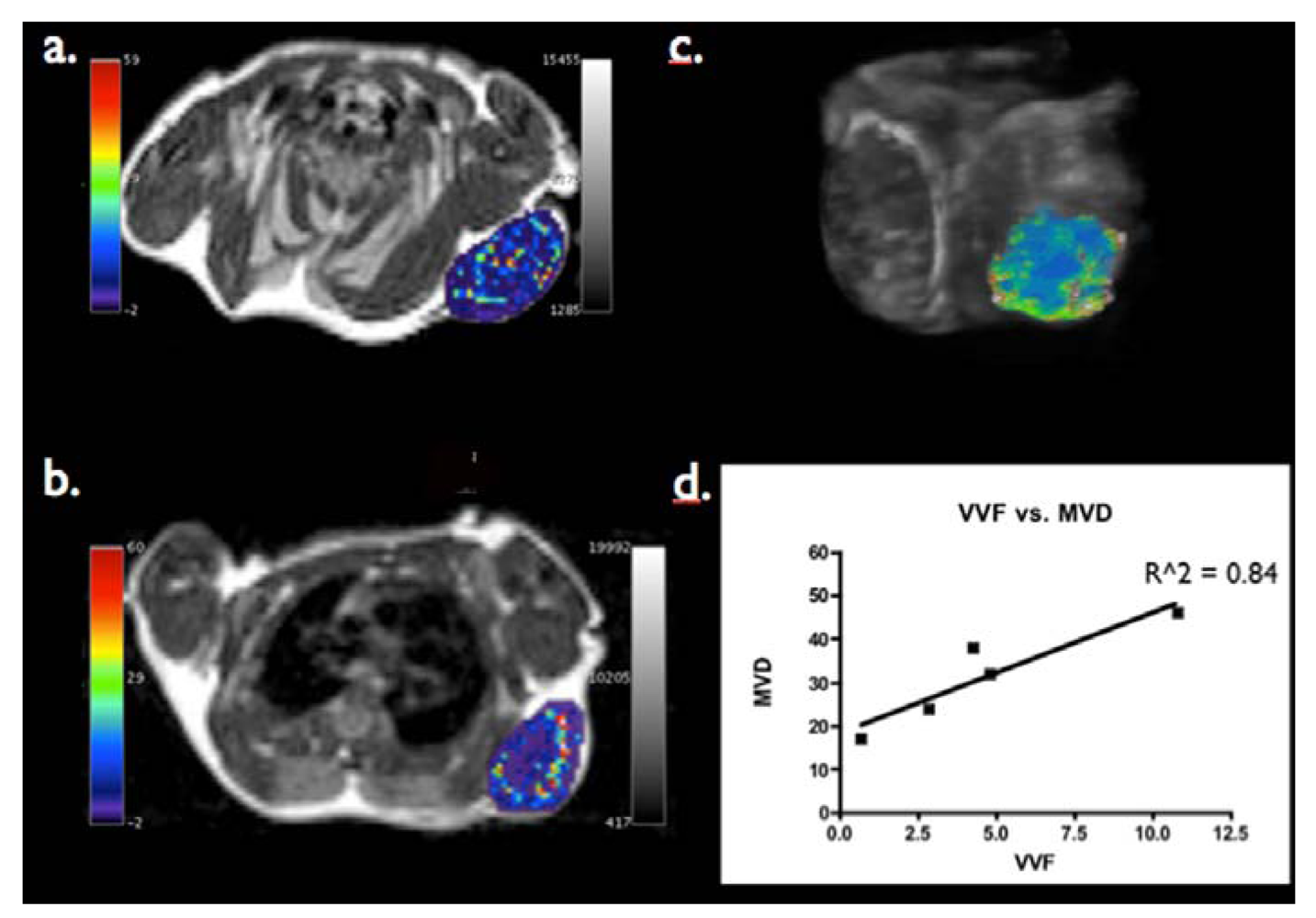 Images Magnetic Nanoparticles at Kathleen Perry blog