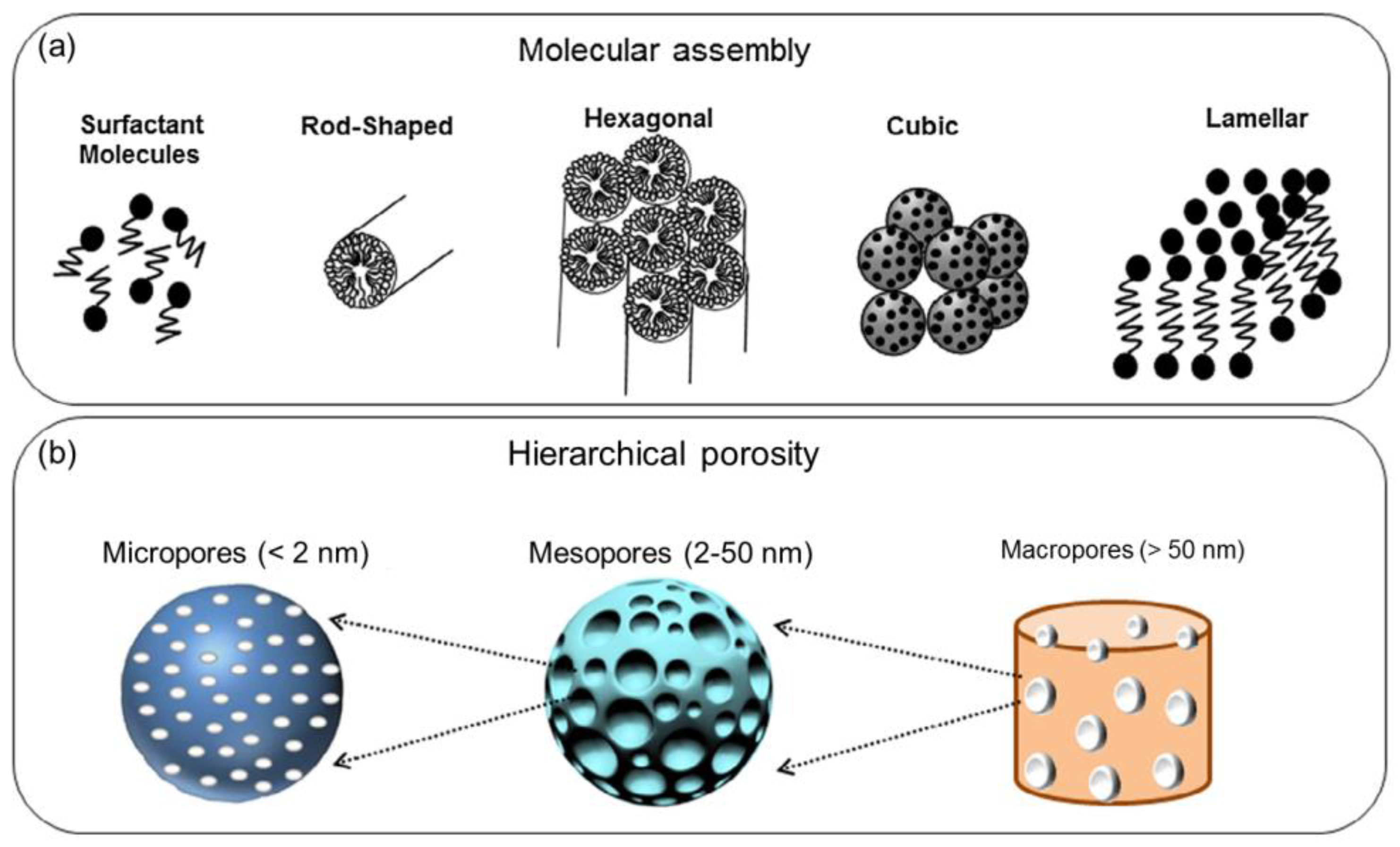 Bioengineering | Free Full-Text | Composite Biomaterials Based on Sol ... Bioengineering | Free Full-Text | Composite Biomaterials Based on Sol ...