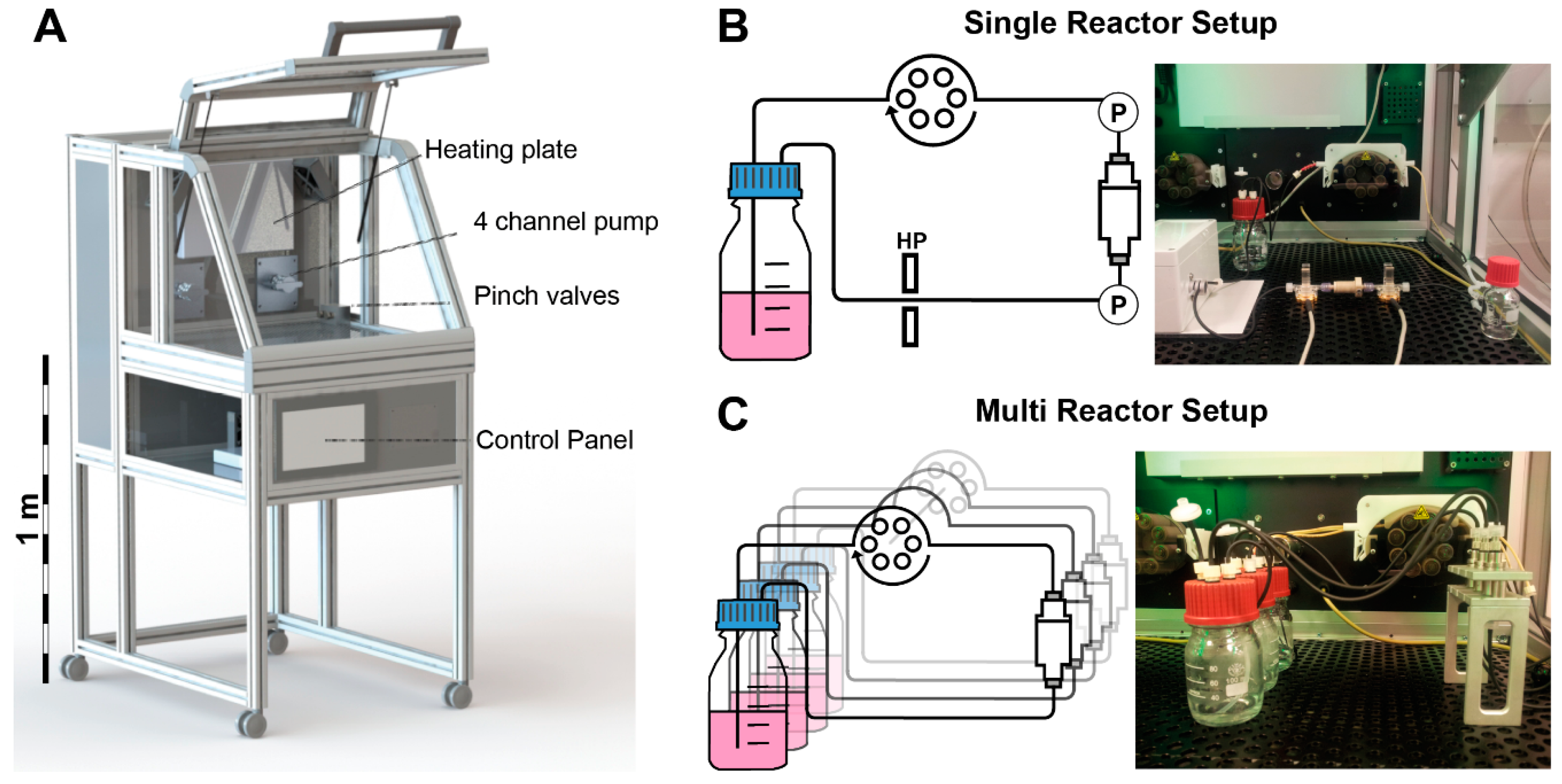 Bioengineering | Free Full-Text | Development and Characterization of a ... Bioengineering | Free Full-Text | Development and Characterization of a ...