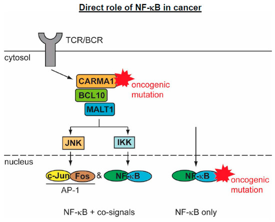 Biomedicines | Special Issue : Roles of NF-κB in Cancer and Their ... Biomedicines | Special Issue : Roles of NF-κB in Cancer and Their ...