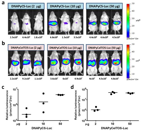 Biomolecules | Free Full-Text | A New Method to Determine Antigen ... Biomolecules | Free Full-Text | A New Method to Determine Antigen ...