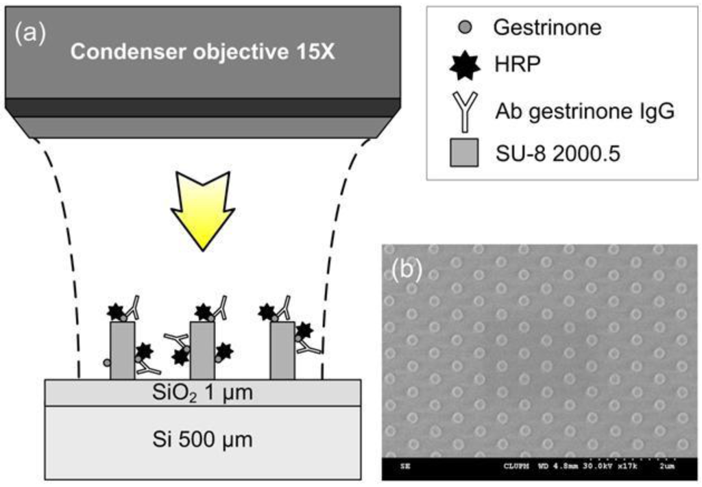 Biosensors Free Full Text Biomolecular Interaction Analysis Of
