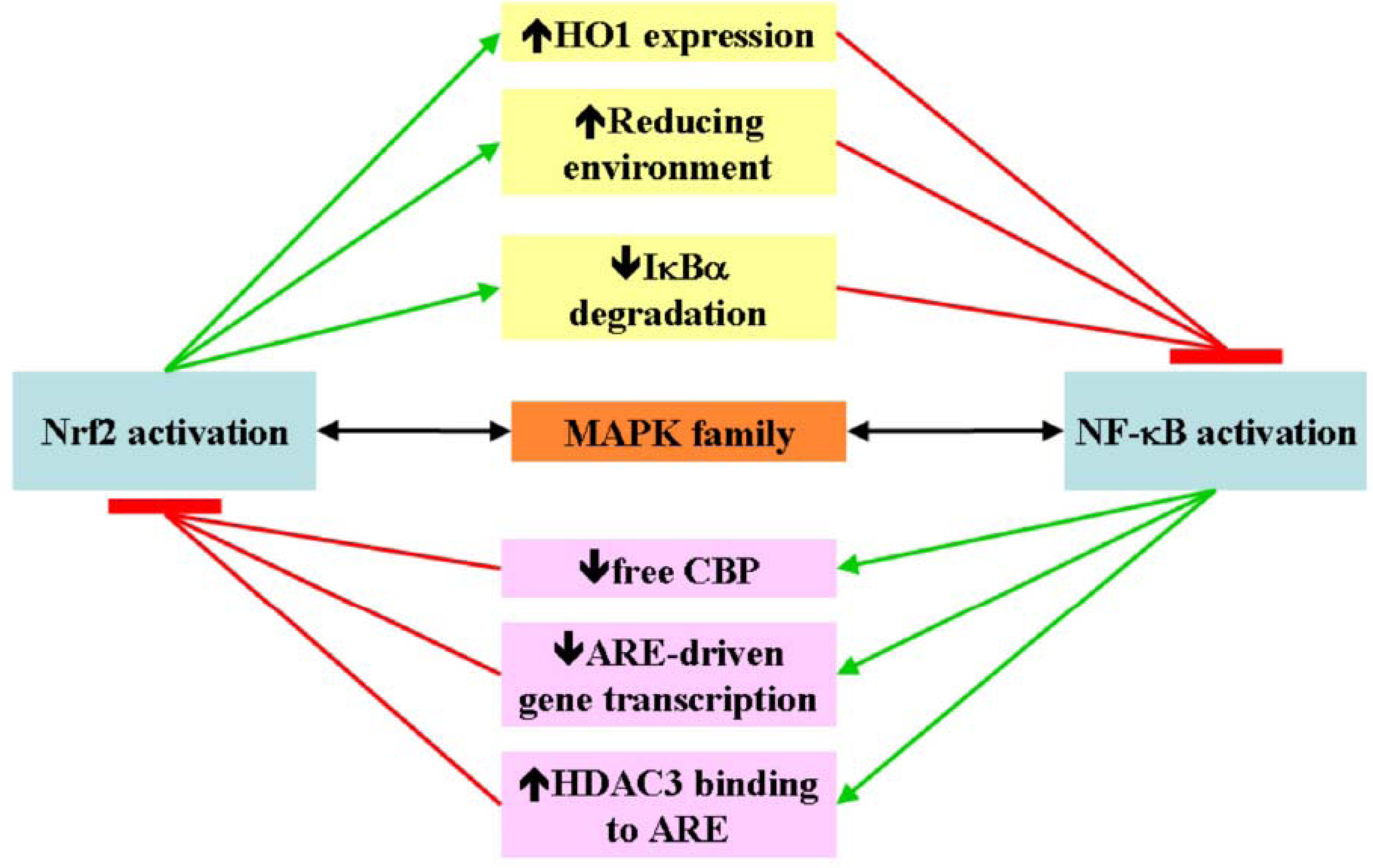 Cancers | Free Full-Text | Nrf2 and NF-κB and Their Concerted ... Cancers | Free Full-Text | Nrf2 and NF-κB and Their Concerted ...