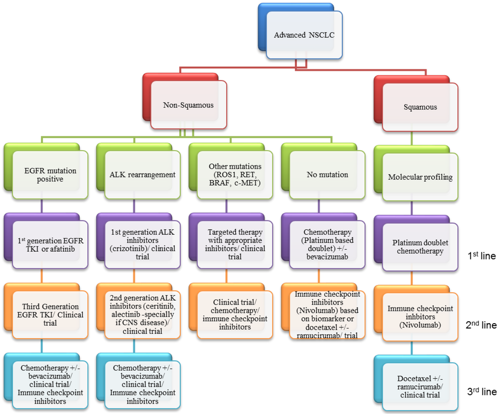 Cancers Special Issue Non Small Cell Lung Cancer Therapies