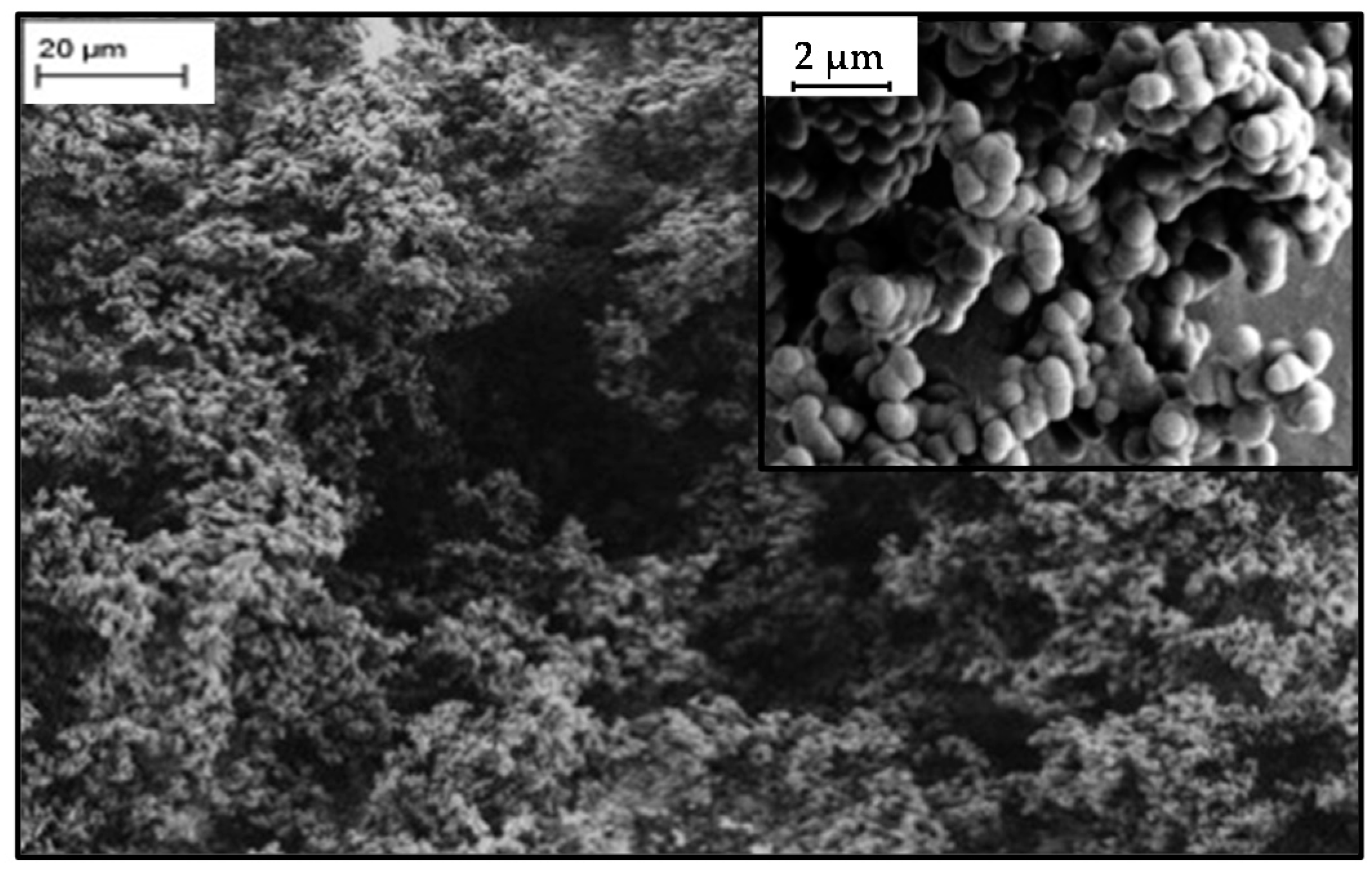 C | Free Full-Text | Flexible Carbon Aerogels C | Free Full-Text | Flexible Carbon Aerogels