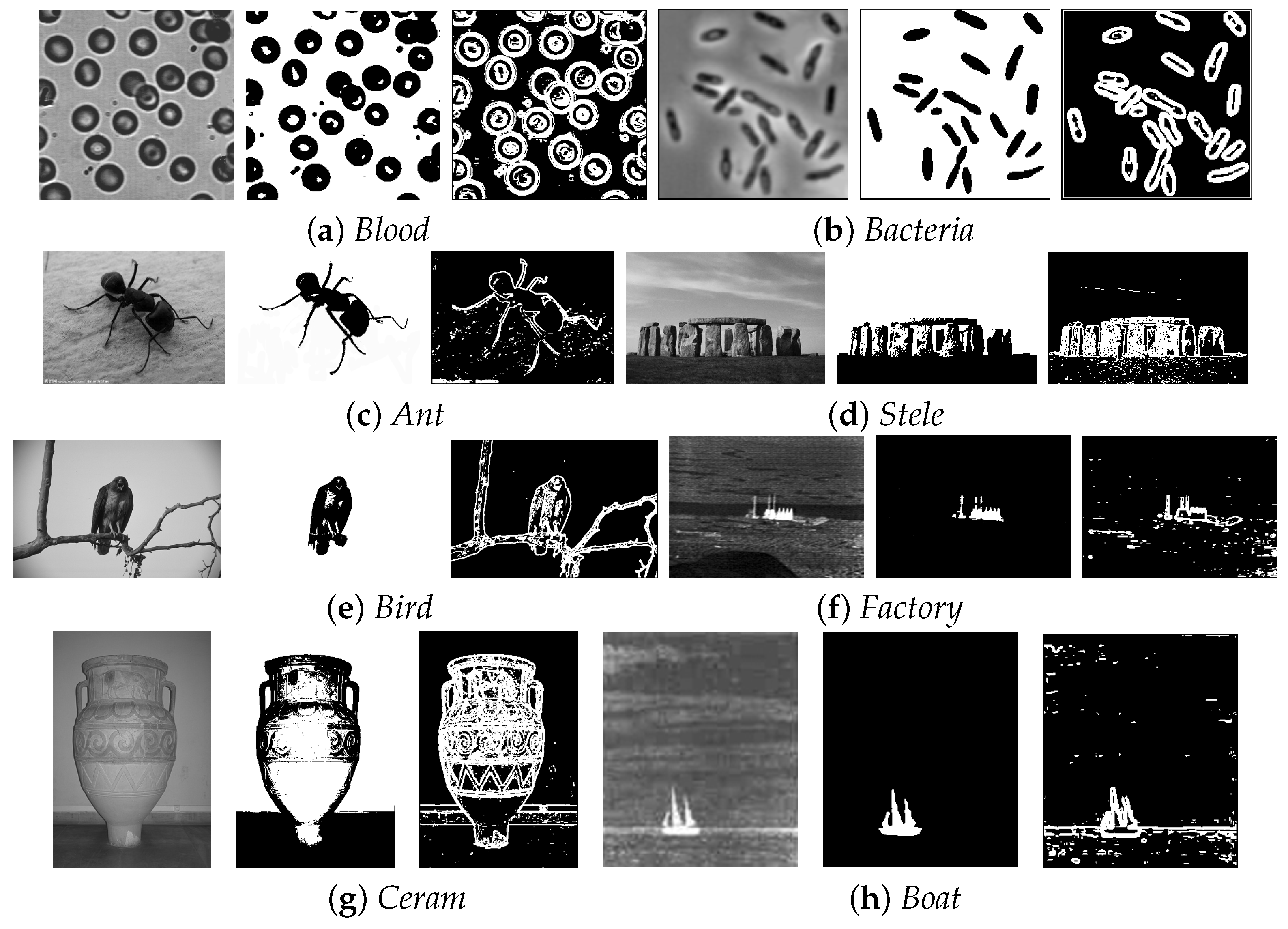 Entropy Free Full Text Image Bi Level Thresholding Based On Gray Level Local Variance Histogram
