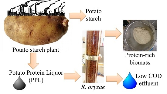 Fermentation | Free Full-Text | Production of Edible Fungi from Potato ... Fermentation | Free Full-Text | Production of Edible Fungi from Potato ...