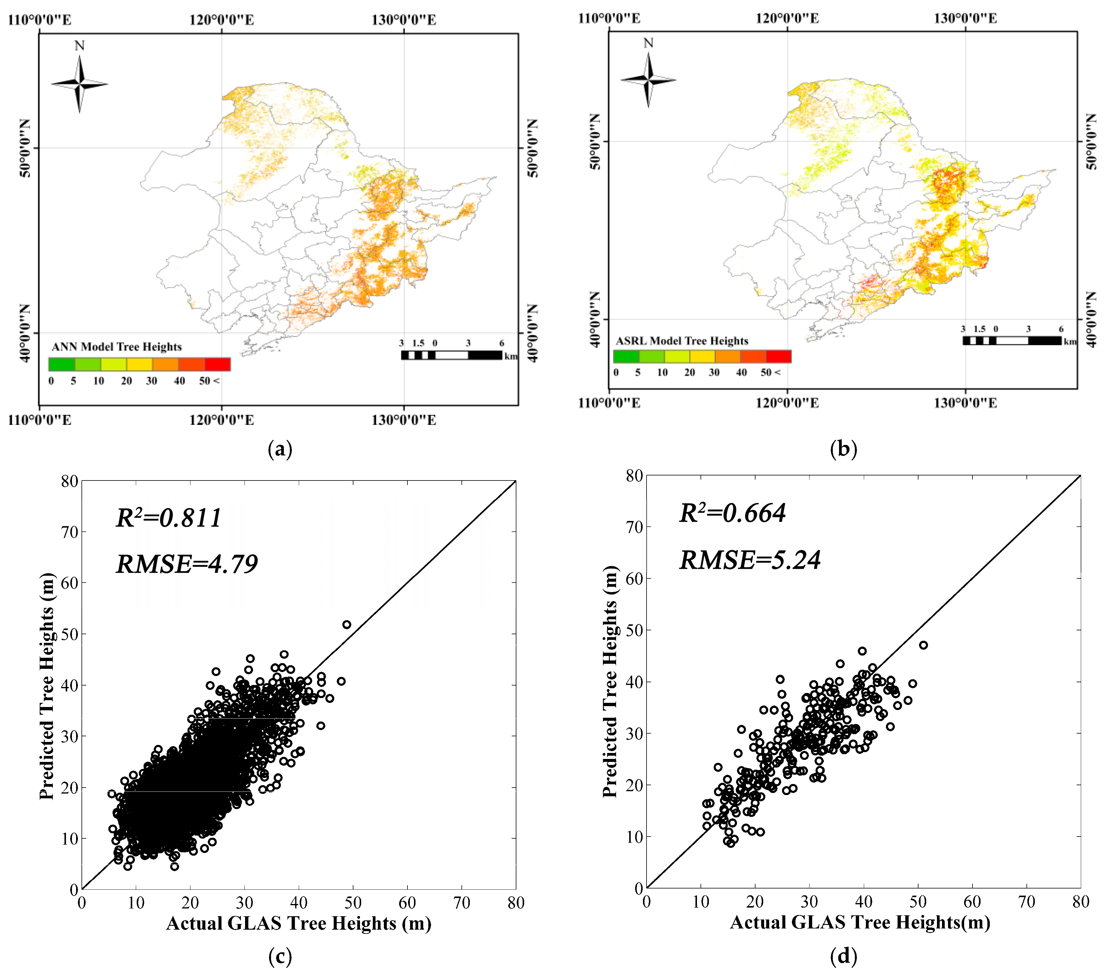 Forests Free Full Text Estimation Of Forest Biomass Patterns Across Northeast China Based On