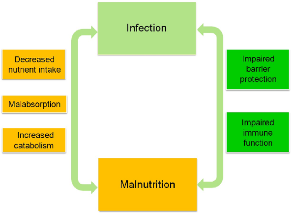Ijerph Free Full Text Malnutrition And Gastrointestinal And
