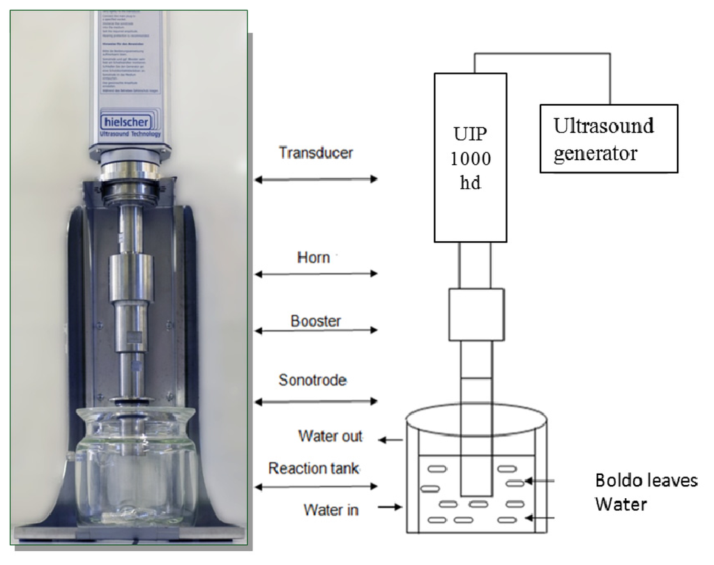 IJMS | Free Full-Text | Batch and Continuous Ultrasound Assisted ... IJMS | Free Full-Text | Batch and Continuous Ultrasound Assisted ...