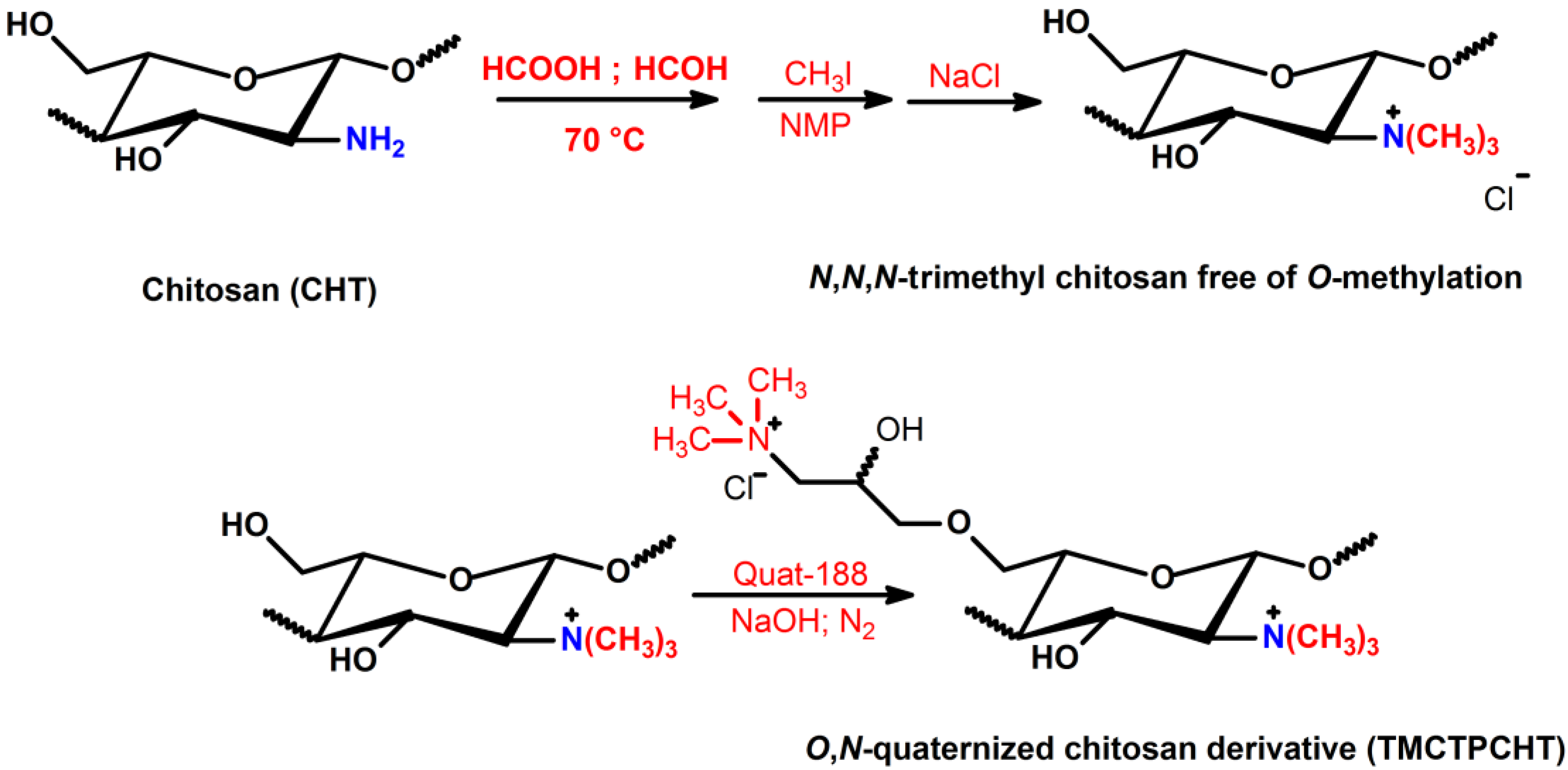 Ijms Free Full Text Antimicrobial Activity Of Chitosan Derivatives