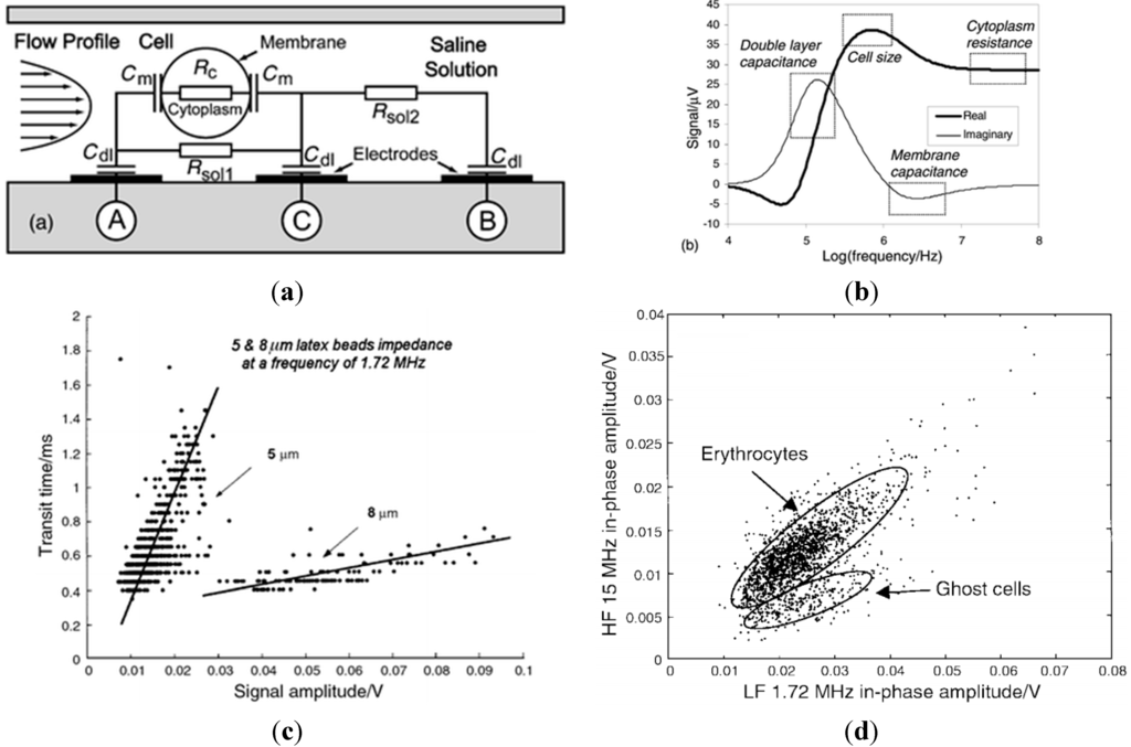 IJMS | Free Full-Text | Microfluidic Impedance Flow Cytometry Enabling ... IJMS | Free Full-Text | Microfluidic Impedance Flow Cytometry Enabling ...