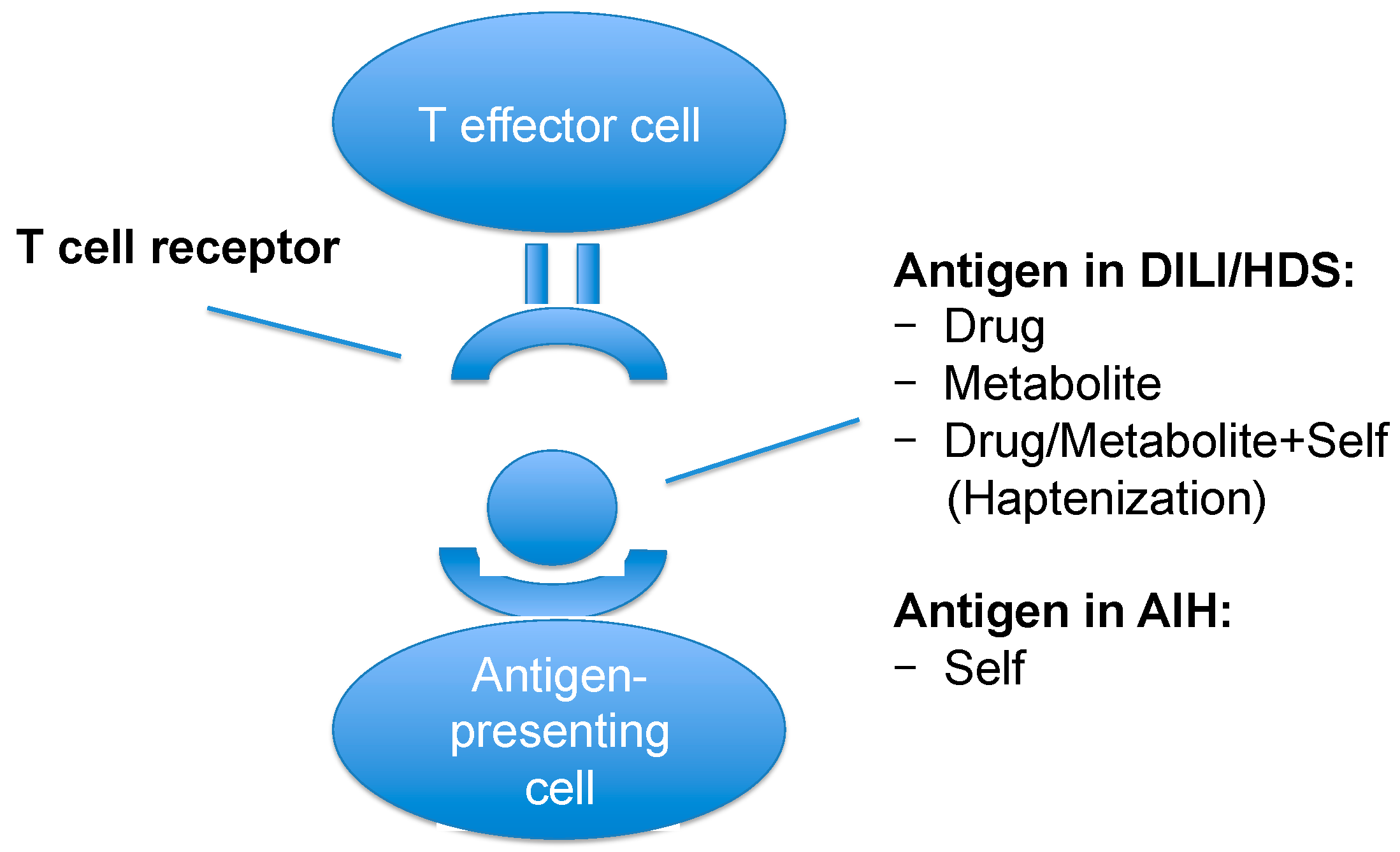 IJMS | Free Full-Text | “Autoimmune(-Like)” Drug and Herb Induced Liver ... IJMS | Free Full-Text | “Autoimmune(-Like)” Drug and Herb Induced Liver ...