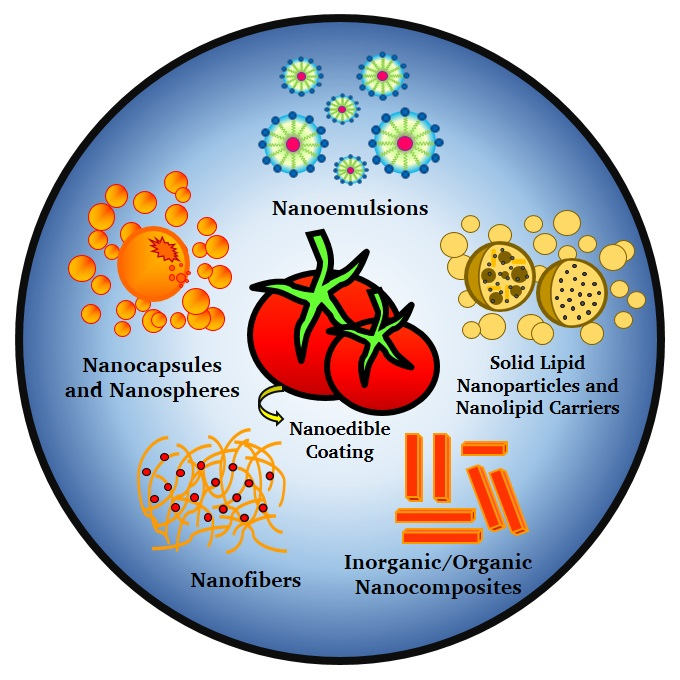 IJMS | Special Issue : Advanced Biomaterials for Food Edible Coatings IJMS | Special Issue : Advanced Biomaterials for Food Edible Coatings