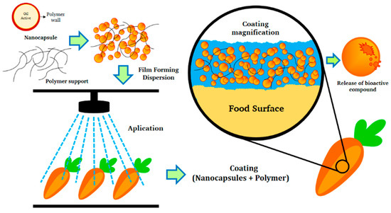 IJMS | Special Issue : Advanced Biomaterials for Food Edible Coatings IJMS | Special Issue : Advanced Biomaterials for Food Edible Coatings