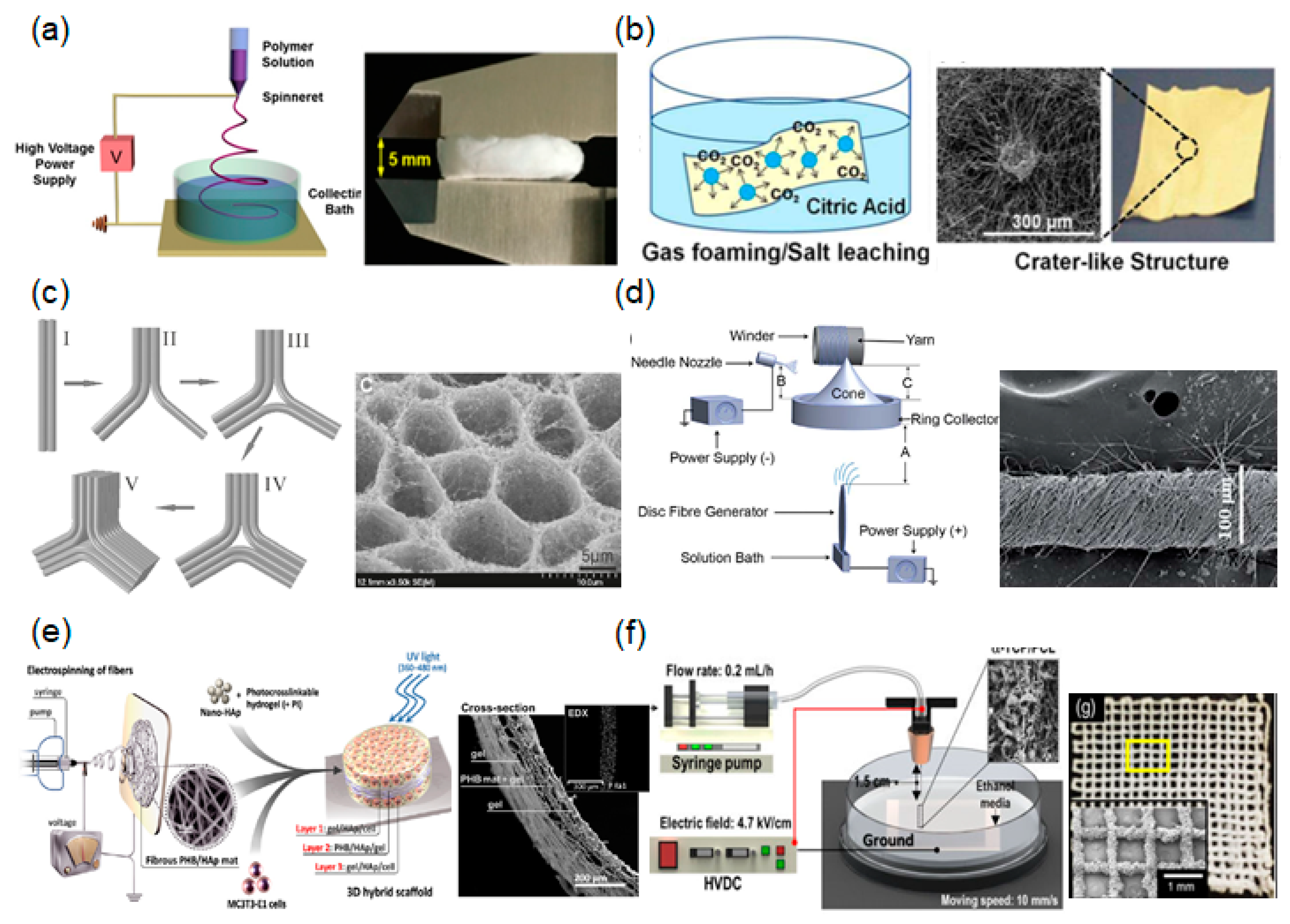 Ijms Free Full Text Electrospun Fibrous Scaffolds For Tissue