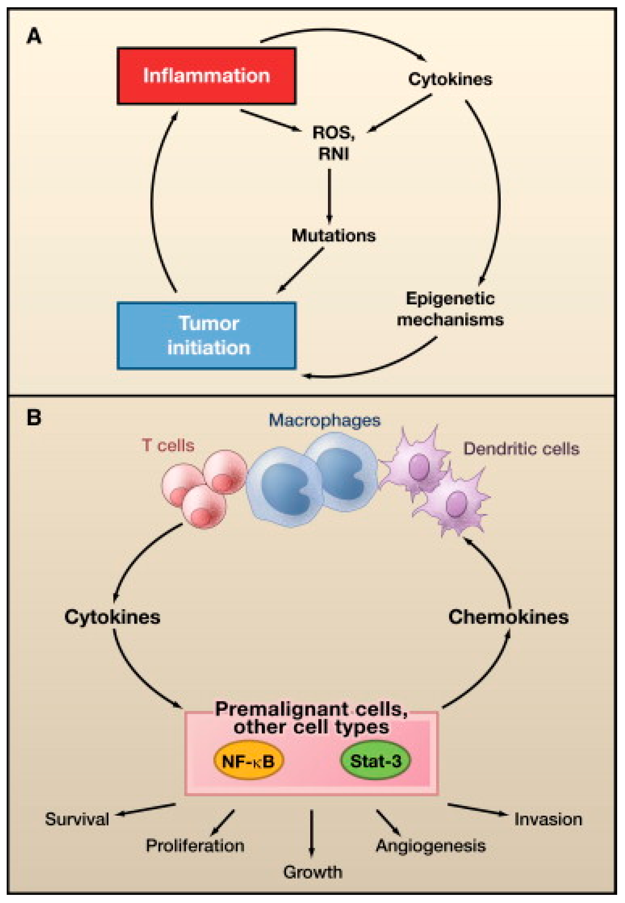 JCM | Free Full-Text | Viral Oncology: Molecular Biology and Pathogenesis JCM | Free Full-Text | Viral Oncology: Molecular Biology and Pathogenesis