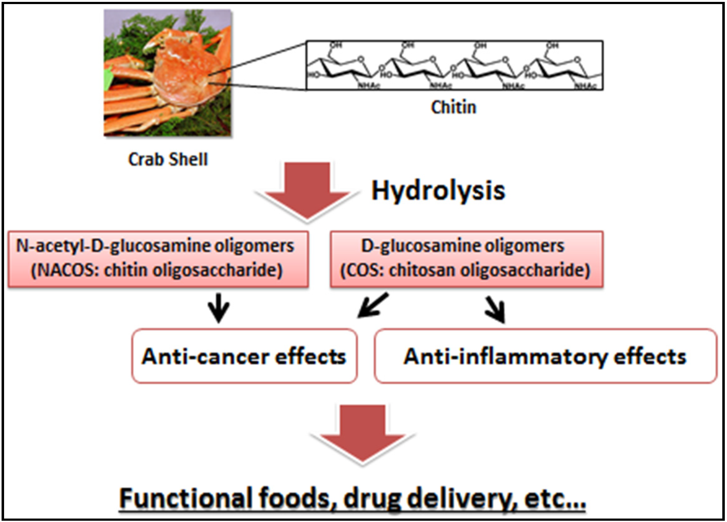 JFB | Free Full-Text | Anticancer and Anti-Inflammatory Properties of ... JFB | Free Full-Text | Anticancer and Anti-Inflammatory Properties of ...