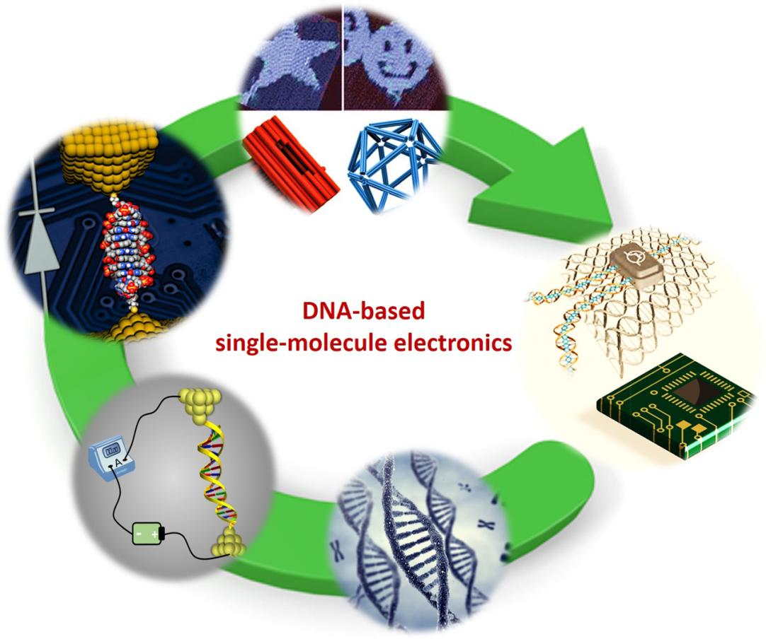 JFB | Free Full-Text | DNA-Based Single-Molecule Electronics: From ... JFB | Free Full-Text | DNA-Based Single-Molecule Electronics: From ...