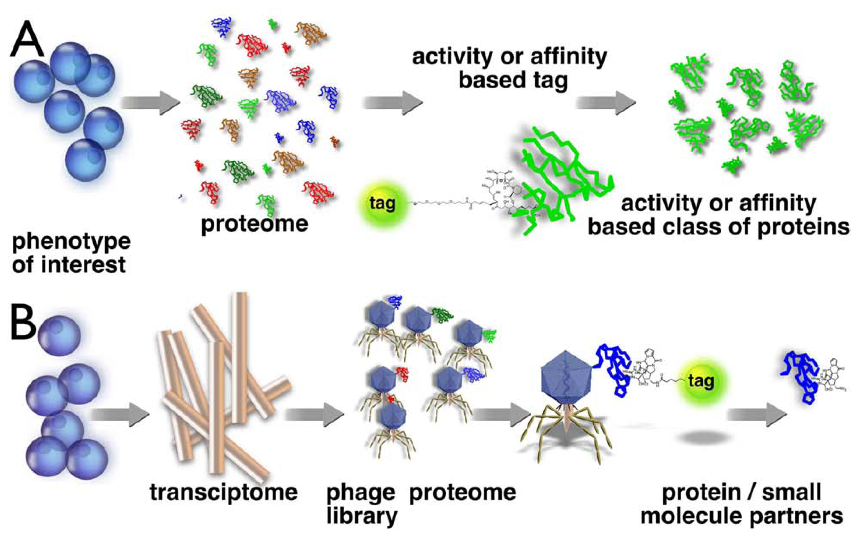 Marine Drugs Free Full Text Quality Not Quantity The Role Of