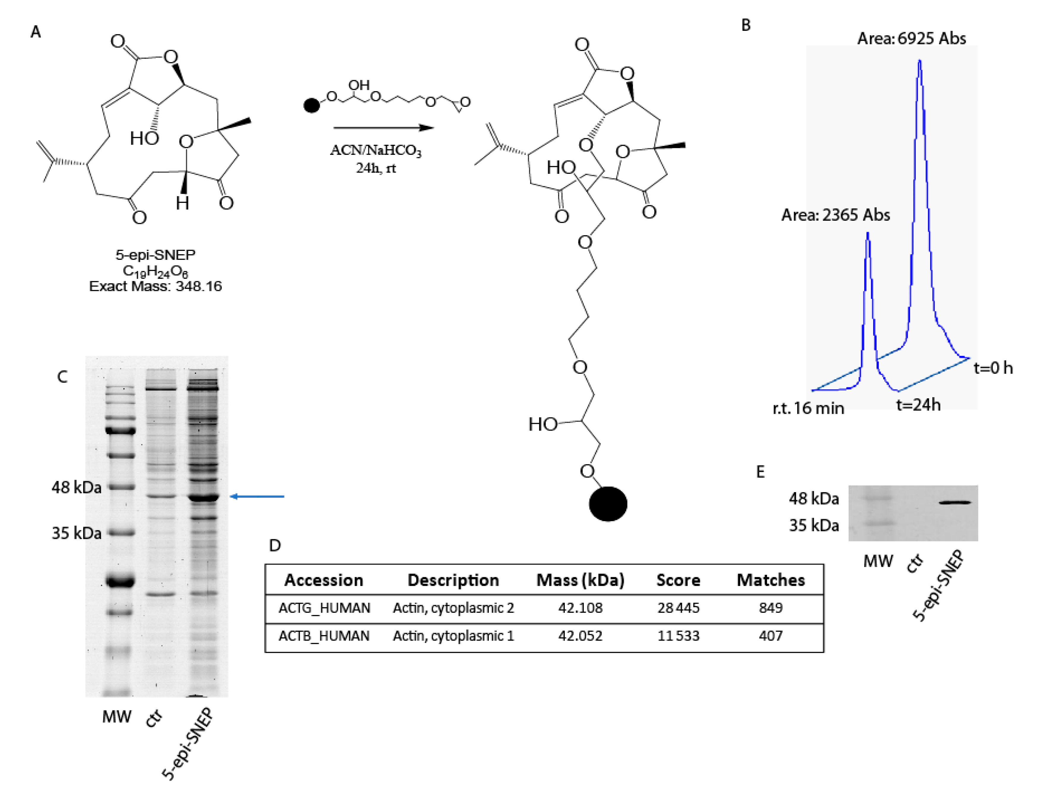 Marine Drugs Free Full Text Discovering The Biological Target Of 5