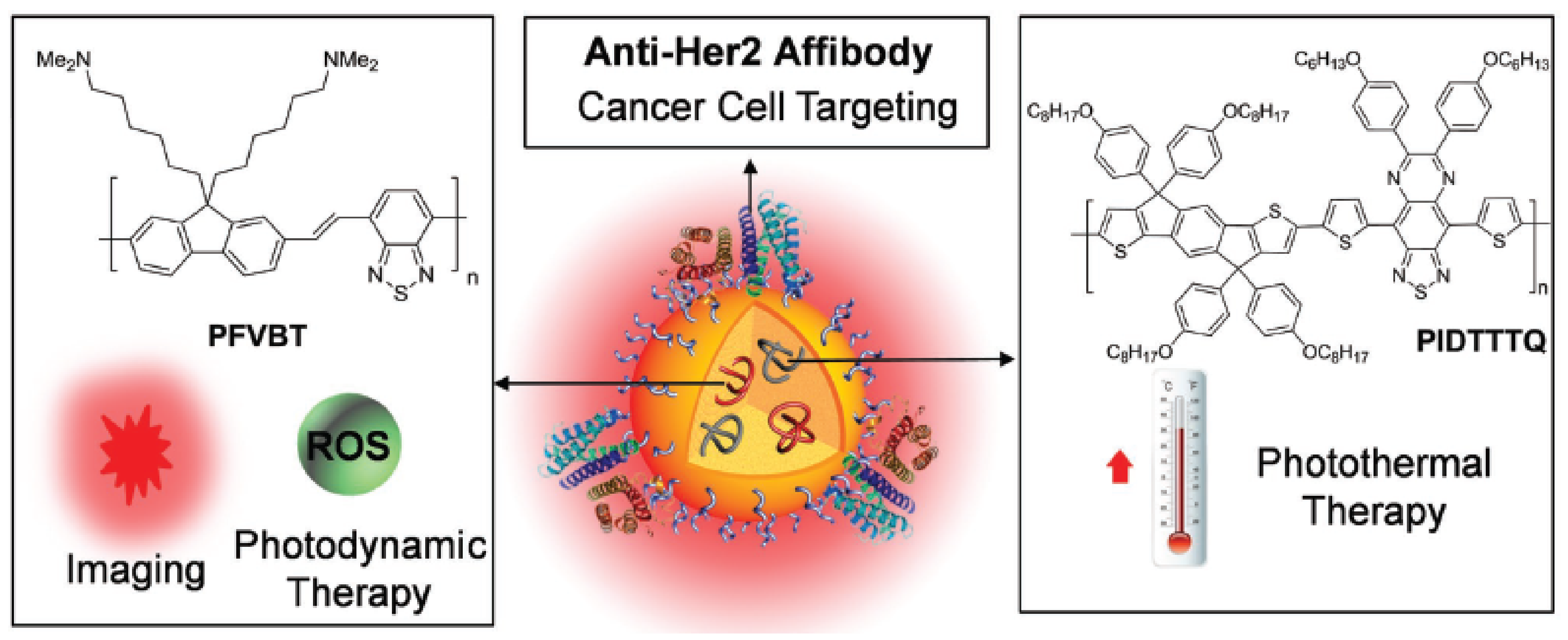 Materials Free Full Text Conjugated Polymer Nanoparticles For