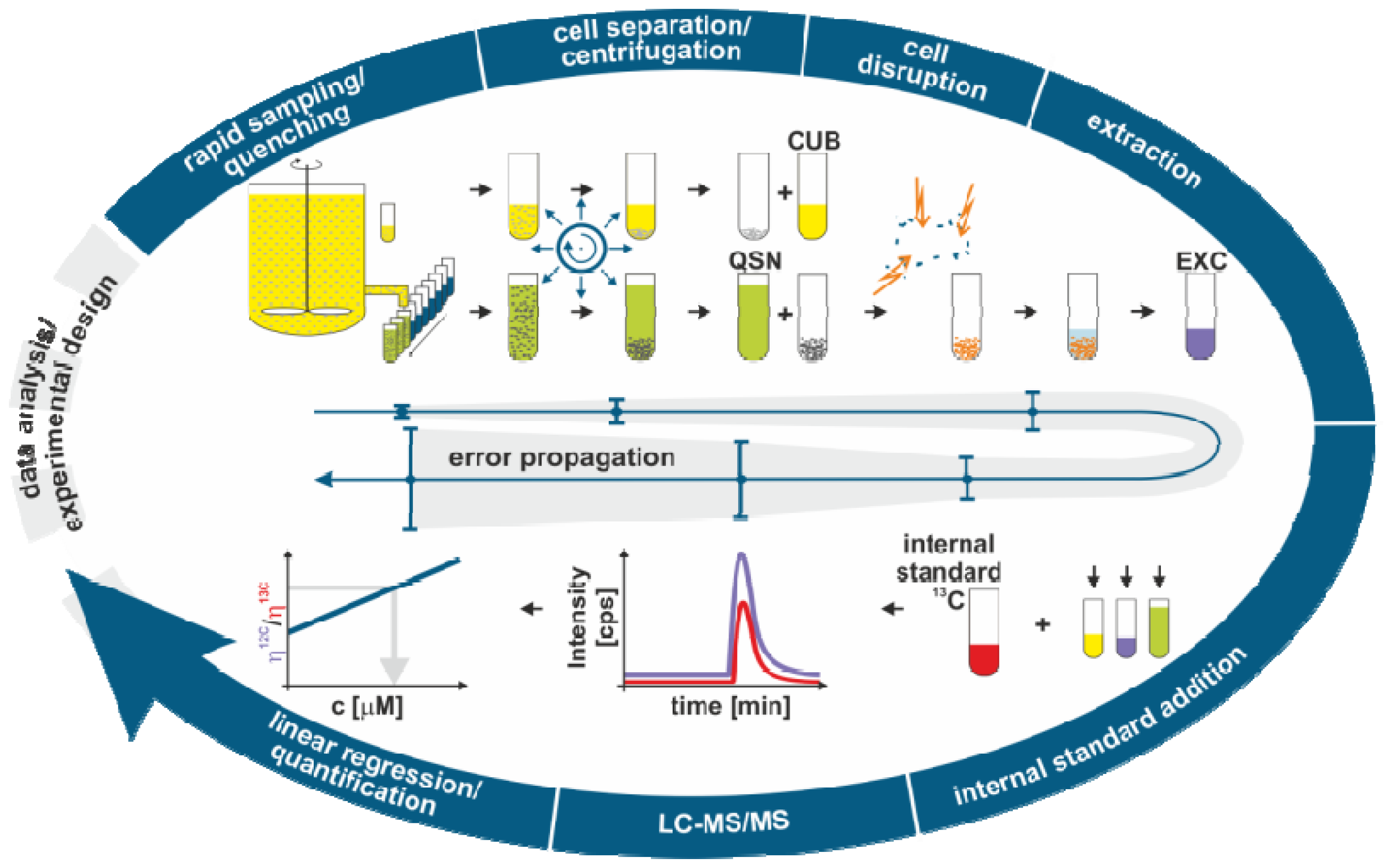 Metabolites | Free Full-Text | Error Propagation Analysis for ... Metabolites | Free Full-Text | Error Propagation Analysis for ...
