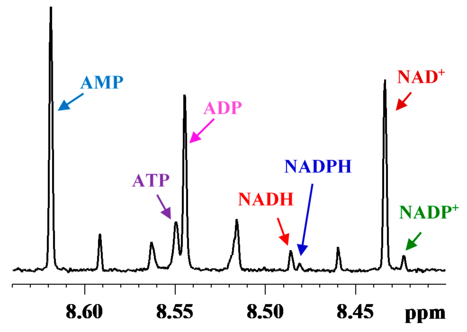 Metabolites | Free Full-Text | Profiling Redox and Energy Coenzymes in ... Metabolites | Free Full-Text | Profiling Redox and Energy Coenzymes in ...