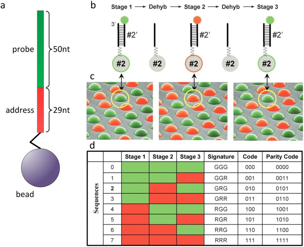 Microarrays | Free Full-Text | Particle-Based Microarrays of ... Microarrays | Free Full-Text | Particle-Based Microarrays of ...