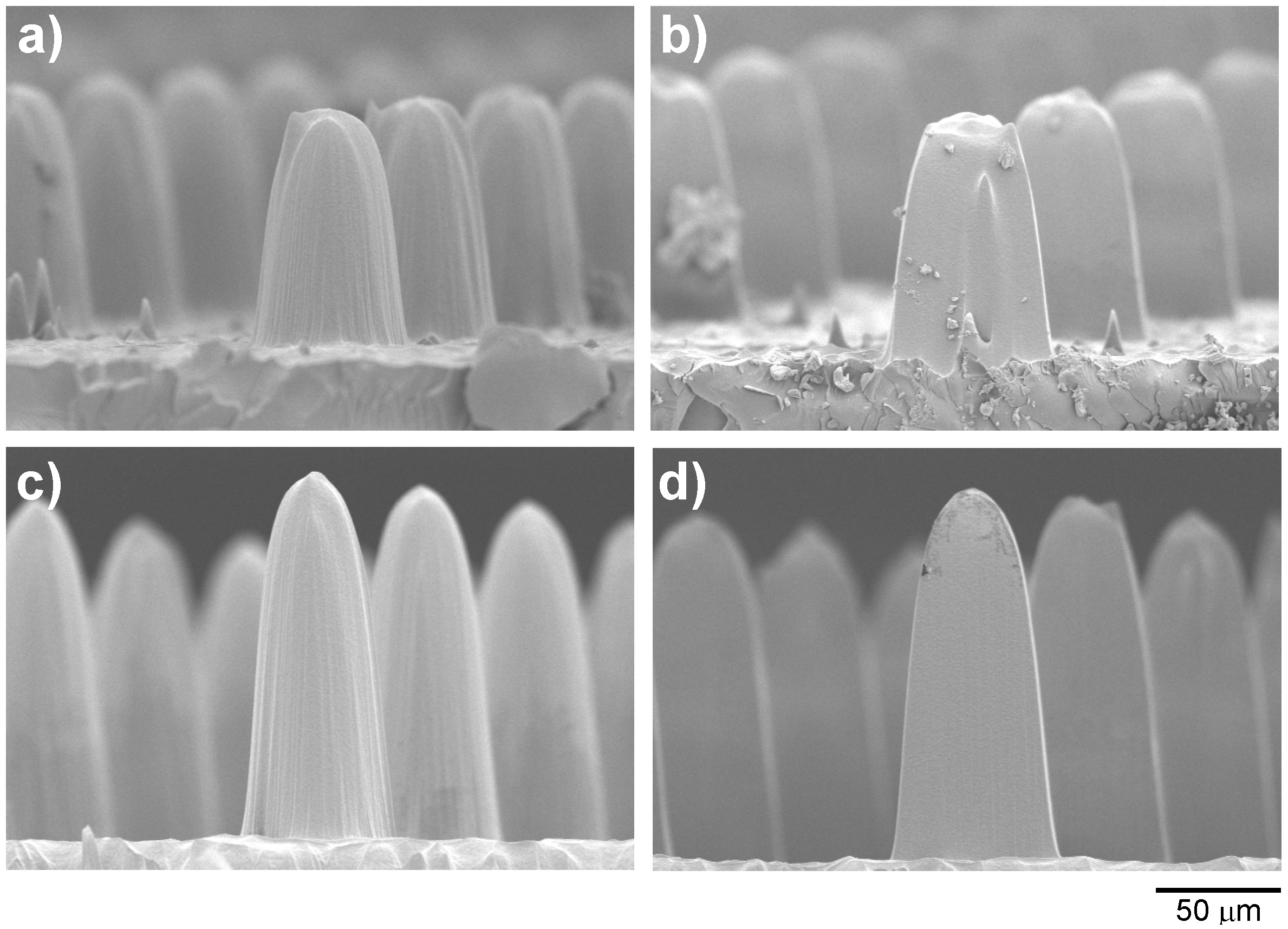 Micromachines | Free Full-Text | Performance of SU-8 Membrane Suitable ... Micromachines | Free Full-Text | Performance of SU-8 Membrane Suitable ...