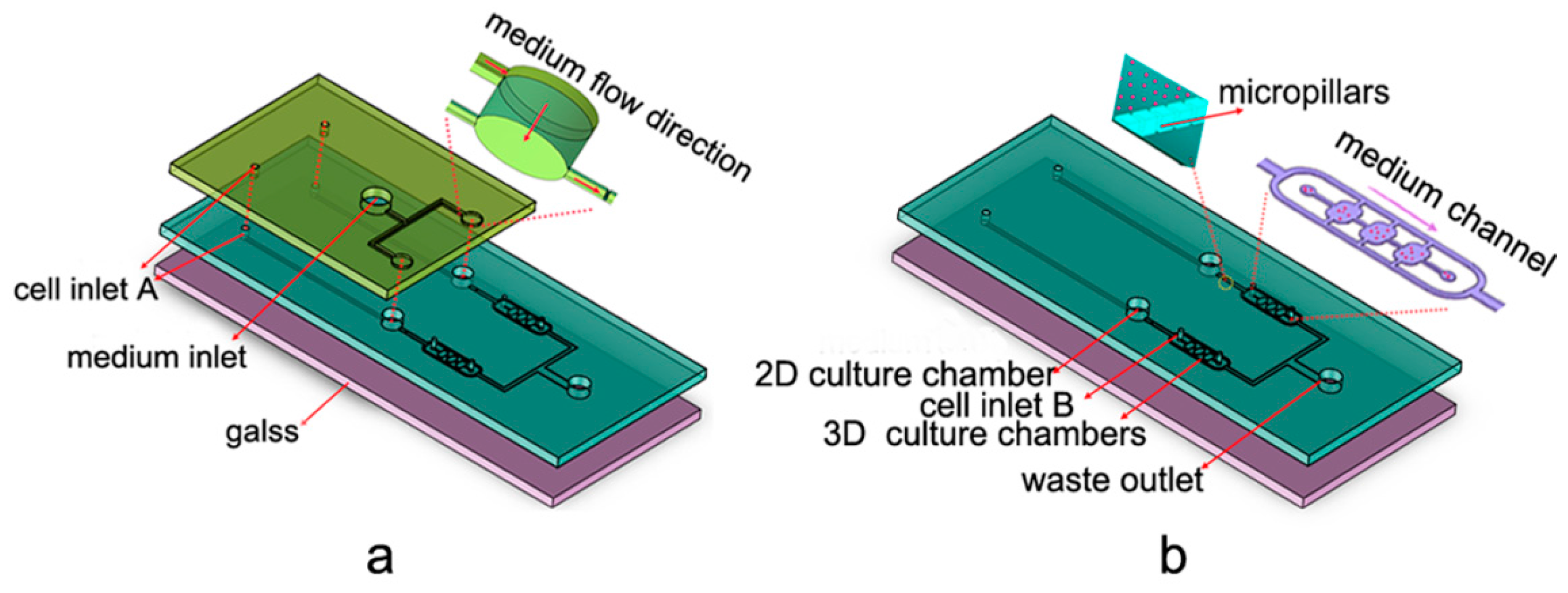 Micromachines | Special Issue : Microfluidic Bioreactors and Organ-on ... Micromachines | Special Issue : Microfluidic Bioreactors and Organ-on ...