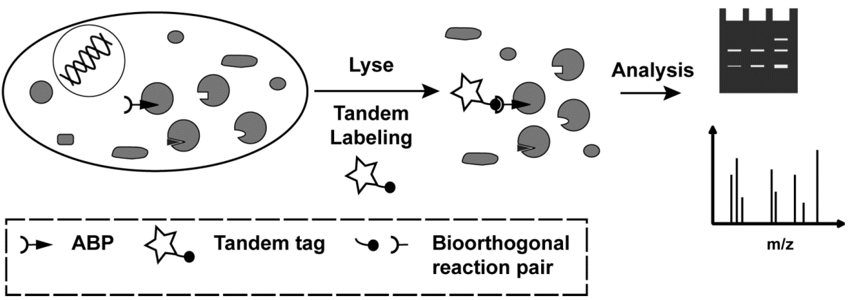 Molecules Free Full Text Comparative Analysis Of Click Chemistry