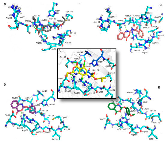 Molecules Special Issue Molecular Docking In Drug Design
