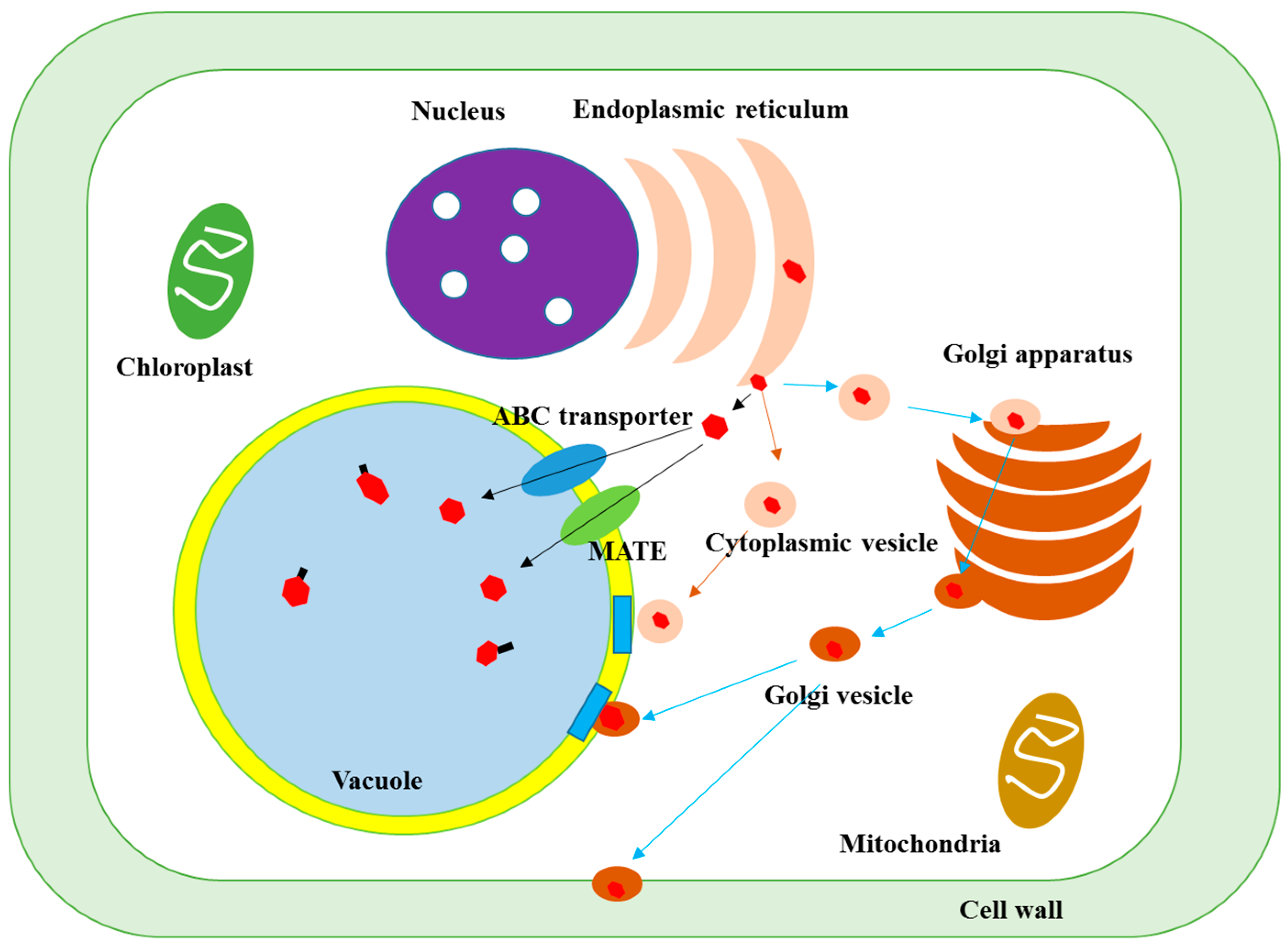 Molecules | Special Issue : Recent Advances in Plant Phenolics Molecules | Special Issue : Recent Advances in Plant Phenolics