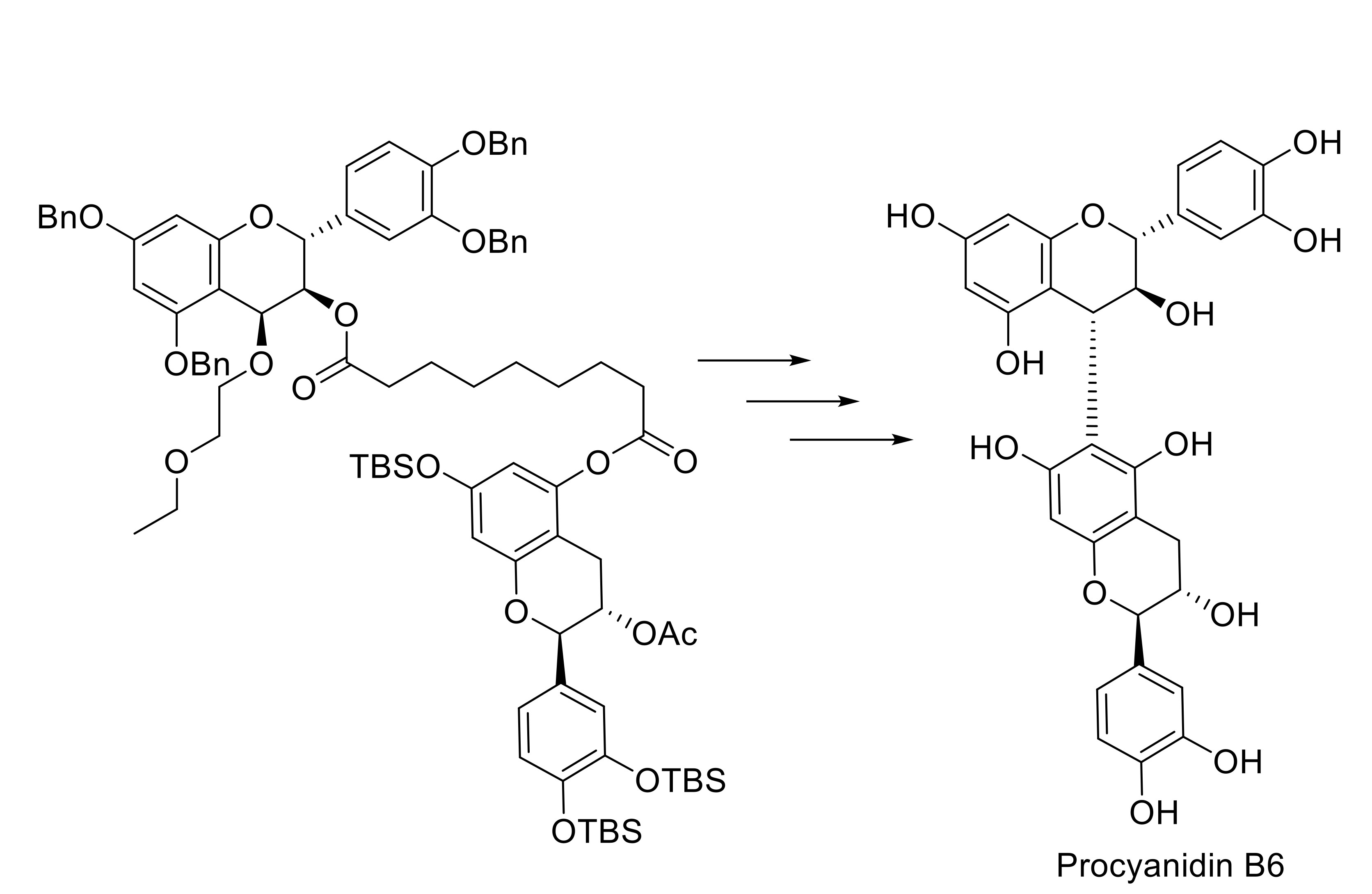 Molecules Free Full Text Regioselective Synthesis Of Procyanidin B6