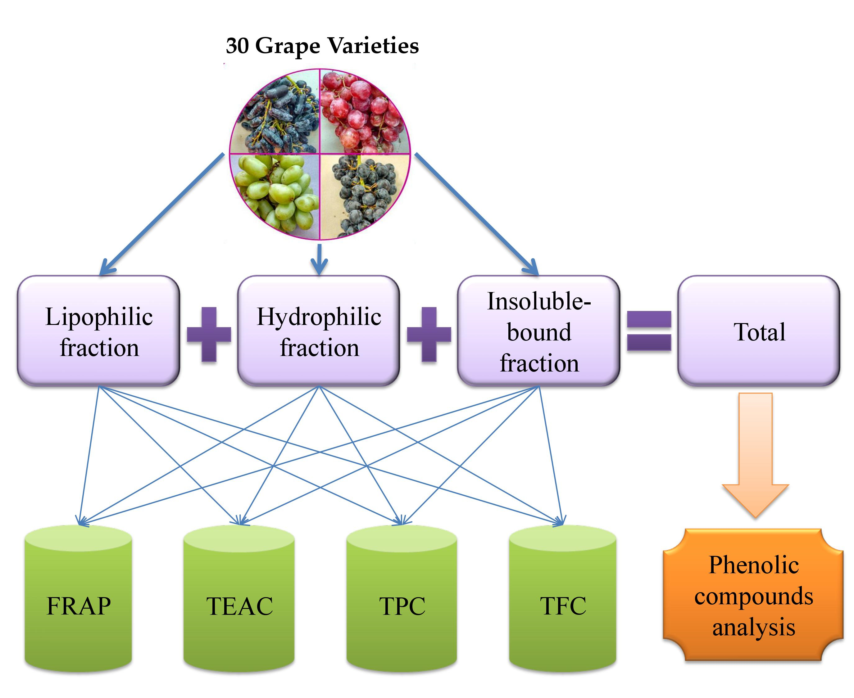 Molecules Free Full Text Comparison Of Antioxidant Activities Of