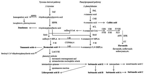 Molecules Special Issue Natural Polyphenols And Health