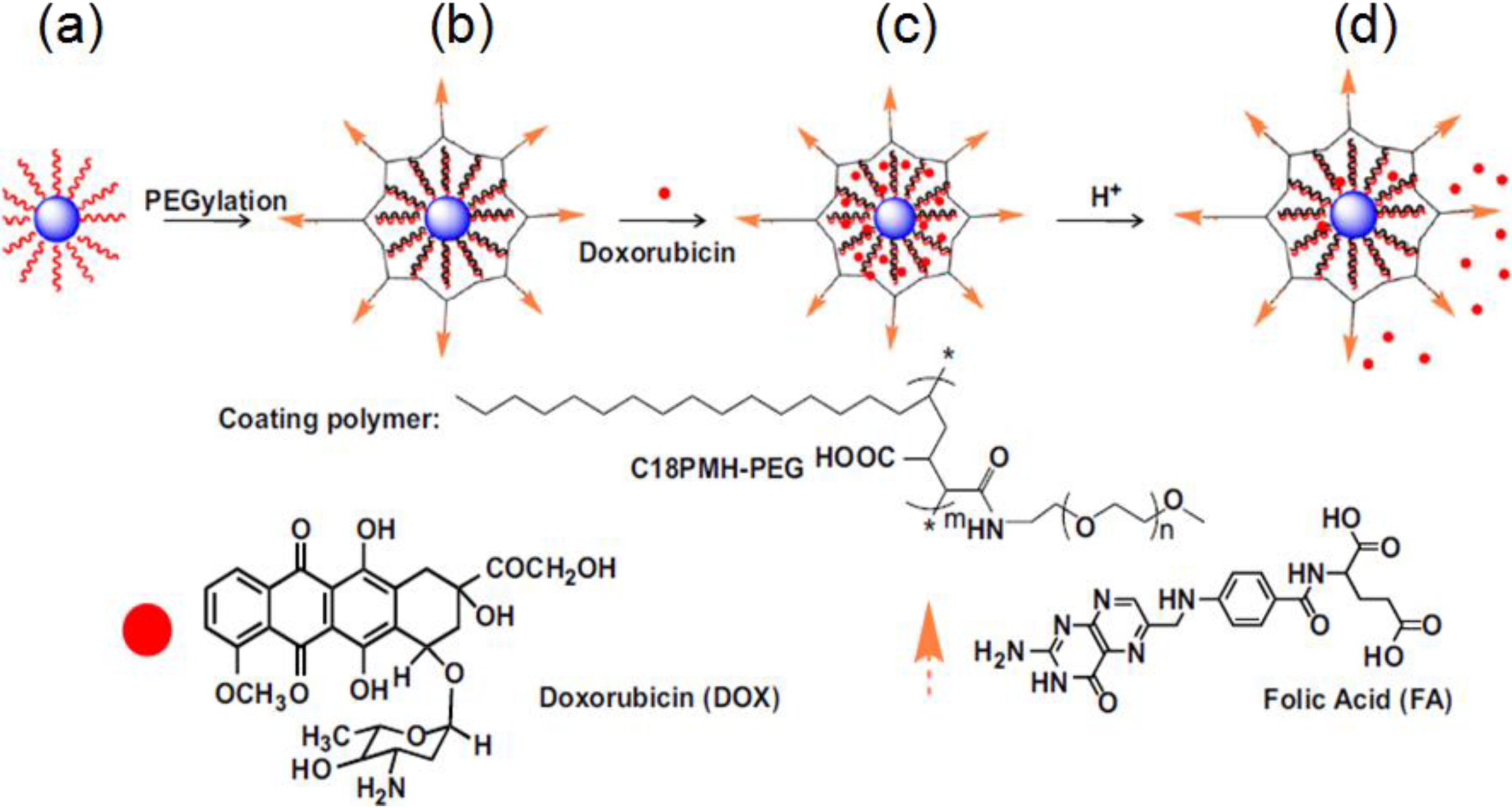 Nanomaterials | Free Full-Text | Rare Earth Ion-Doped Upconversion ... Nanomaterials | Free Full-Text | Rare Earth Ion-Doped Upconversion ...