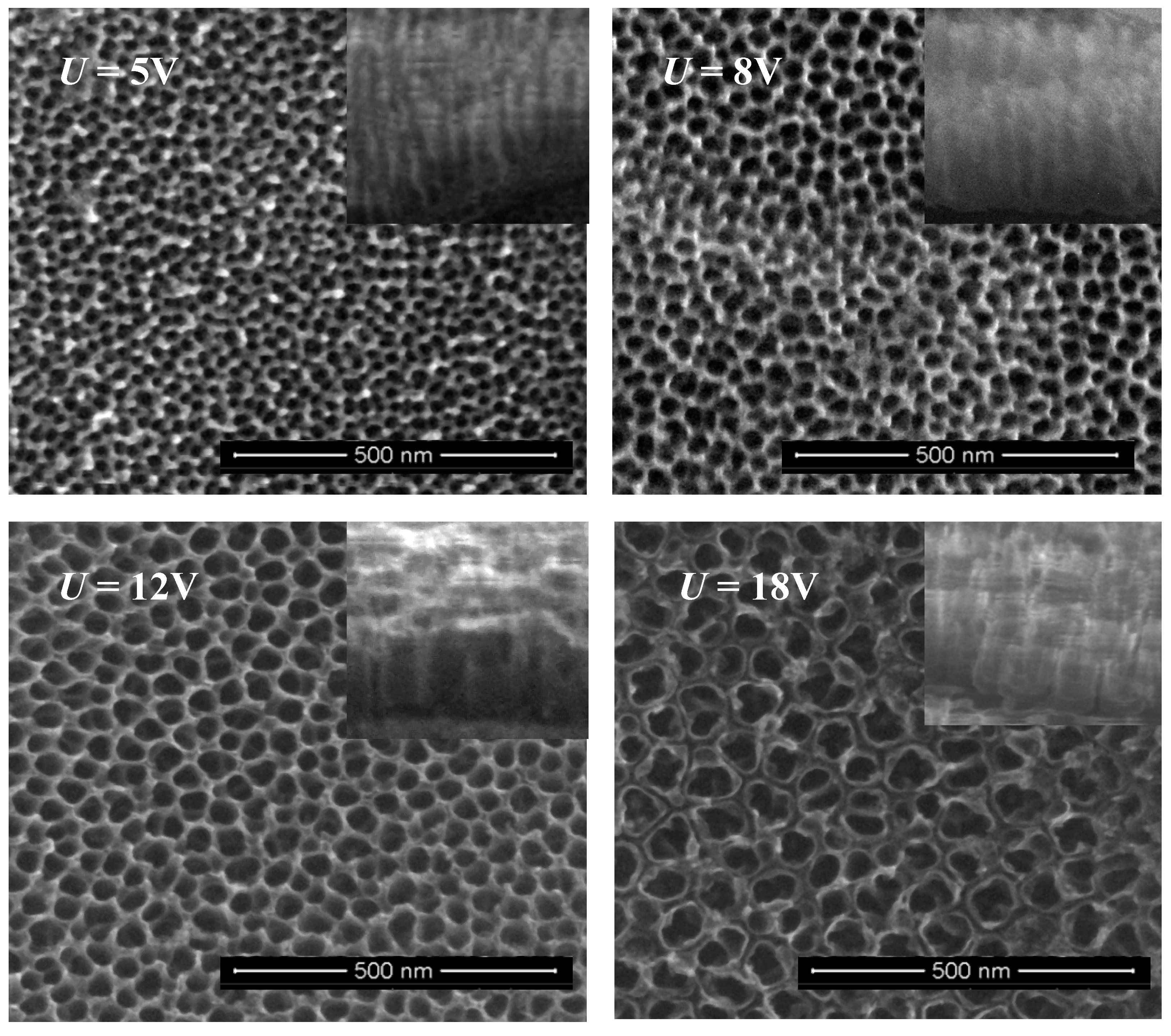 Nanomaterials | Free Full-Text | The Bioactivity and Photocatalytic ... Nanomaterials | Free Full-Text | The Bioactivity and Photocatalytic ...
