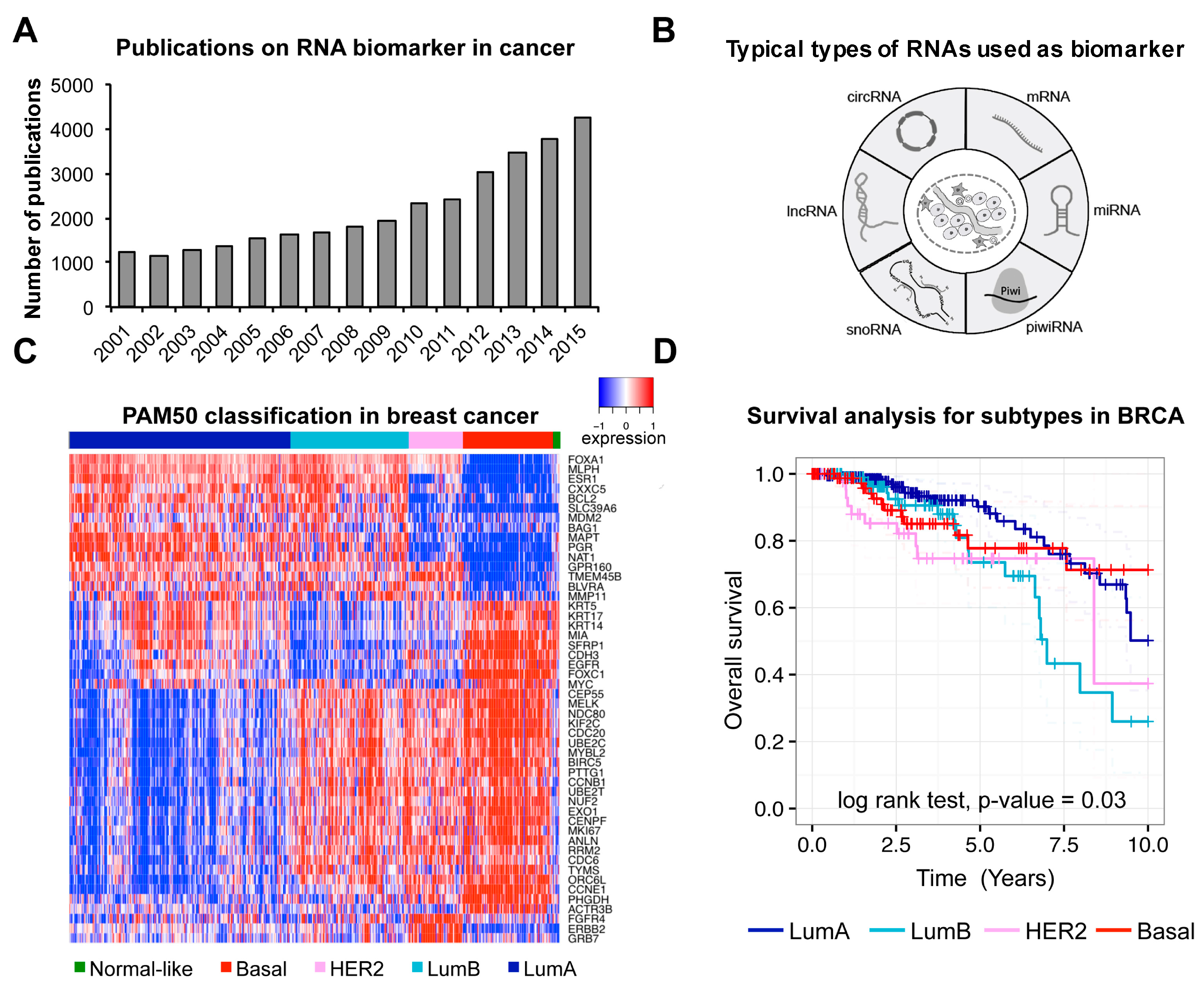 Ncrna Free Full Text Rna Biomarkers Frontier Of Precision Medicine