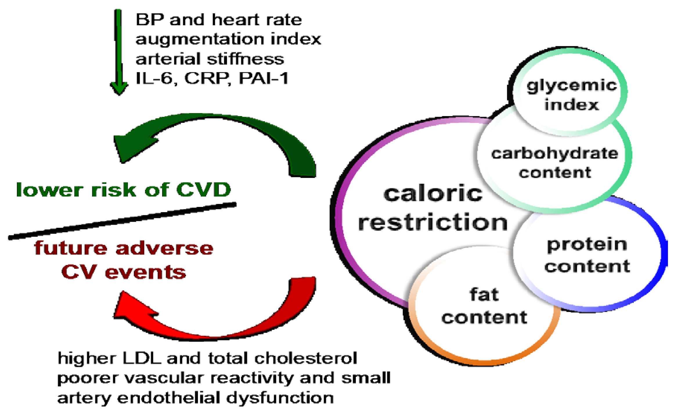 Nutrients Free Full Text Caloric Restriction As A Strategy To