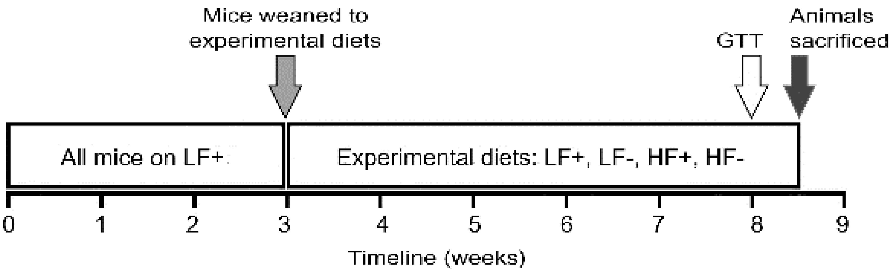 Nutrients Free Full Text The Impact Of Sex And 25 Oh D Free Download