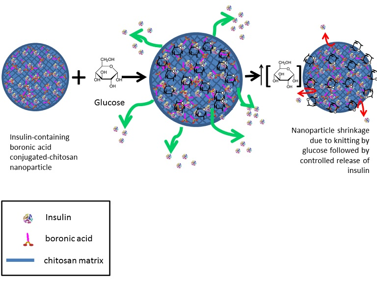 Chitosan Nanoparticles