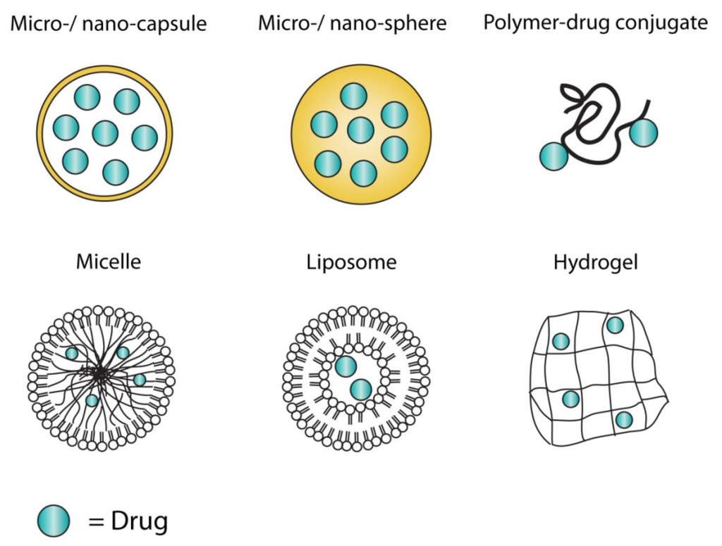 Polymers | Free Full-Text | Drugs and Polymers for Delivery Systems in ... Polymers | Free Full-Text | Drugs and Polymers for Delivery Systems in ...