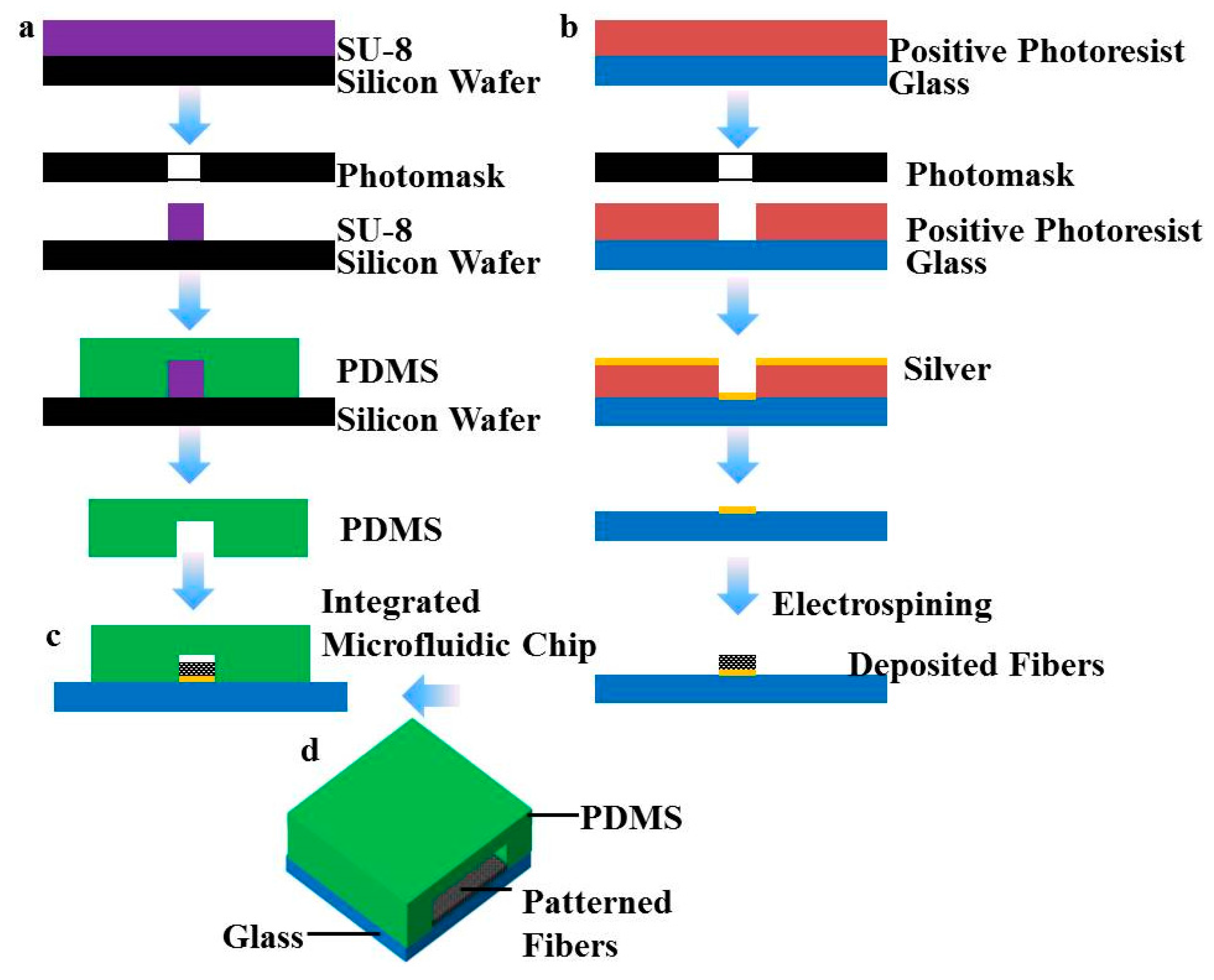 Polymers | Free Full-Text | Patterned Fibers Embedded Microfluidic ... Polymers | Free Full-Text | Patterned Fibers Embedded Microfluidic ...