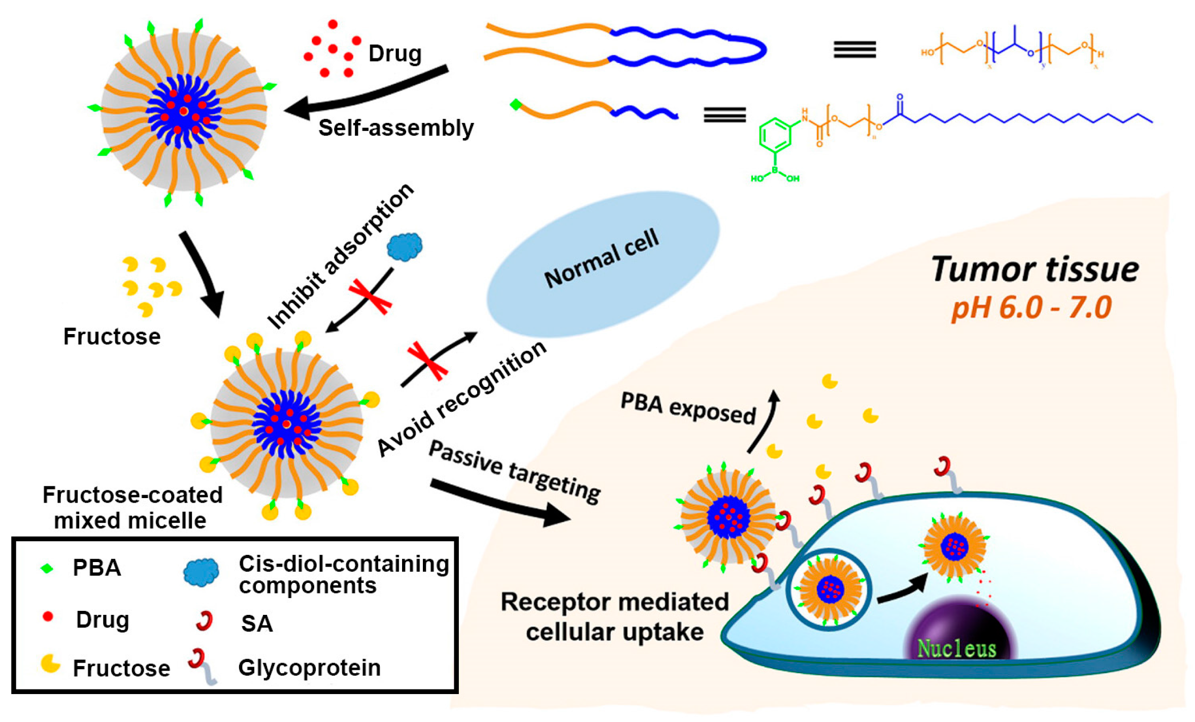 Polymers Free Full Text Sialic Acid Targeted Biointerface Materials And Bio Applications