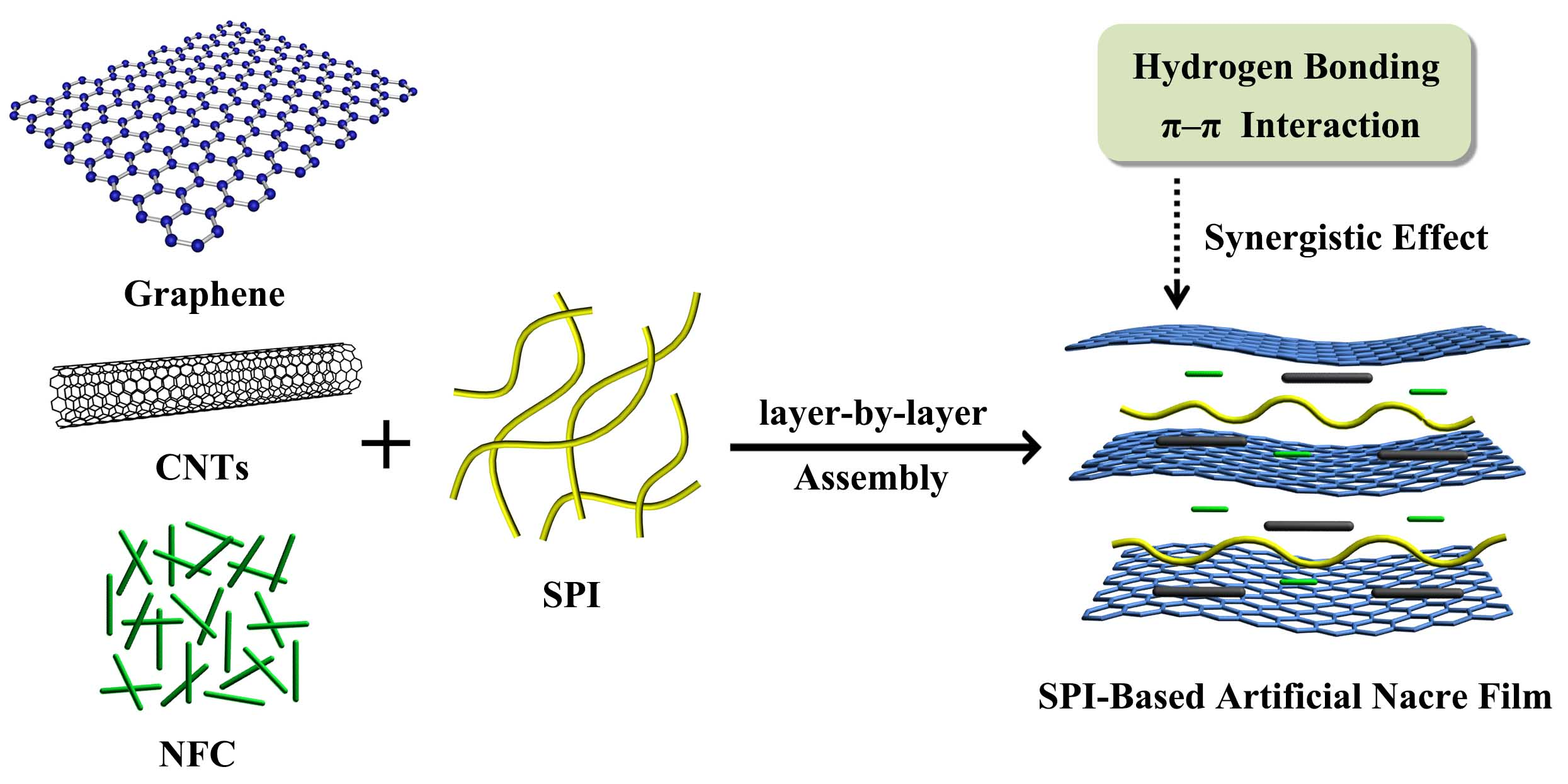 Polymers | Free Full-Text | Nature-Inspired Green Procedure for ... Polymers | Free Full-Text | Nature-Inspired Green Procedure for ...